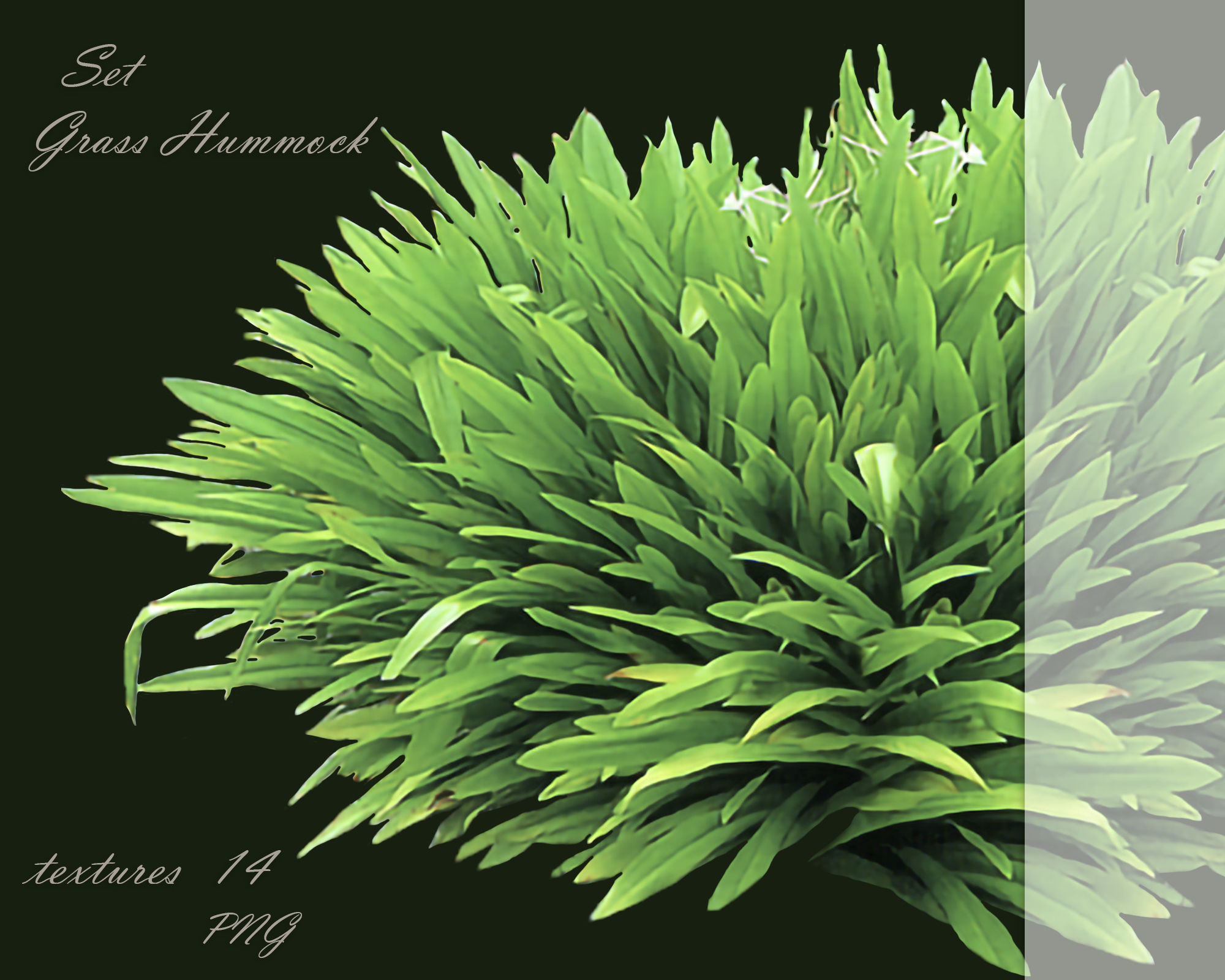 Texture Set of Texture Grass hummock PNG VR / AR / low-poly | CGTrader