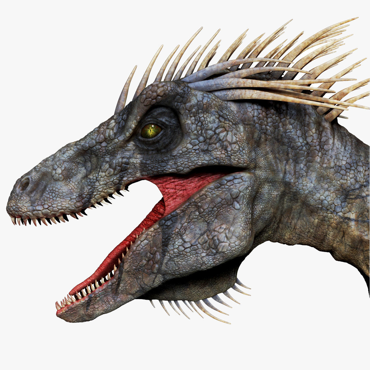 UtahRaptor SCULPT Project 3D model | CGTrader