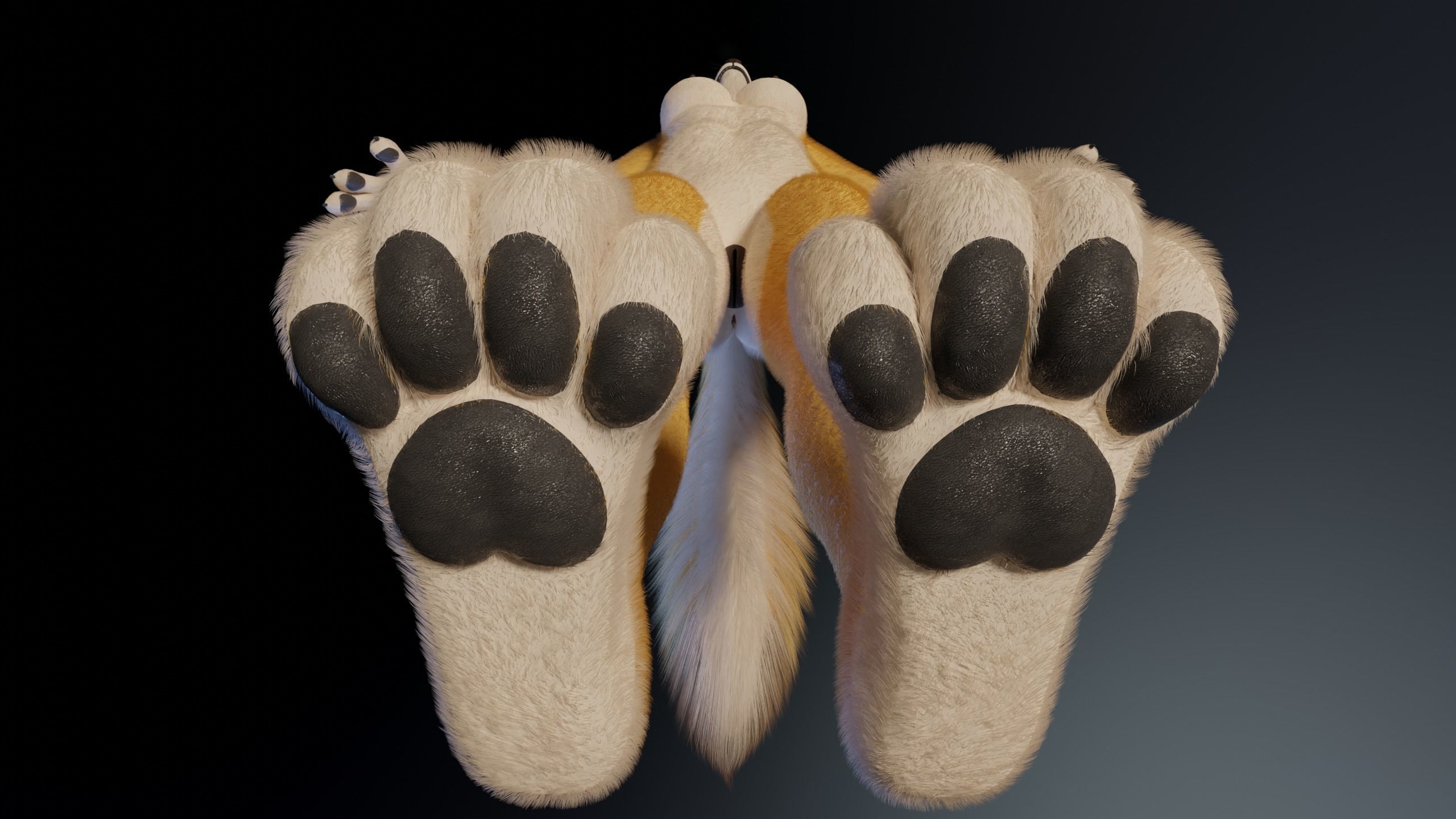 Nara Anthro Fox 3D model rigged | CGTrader