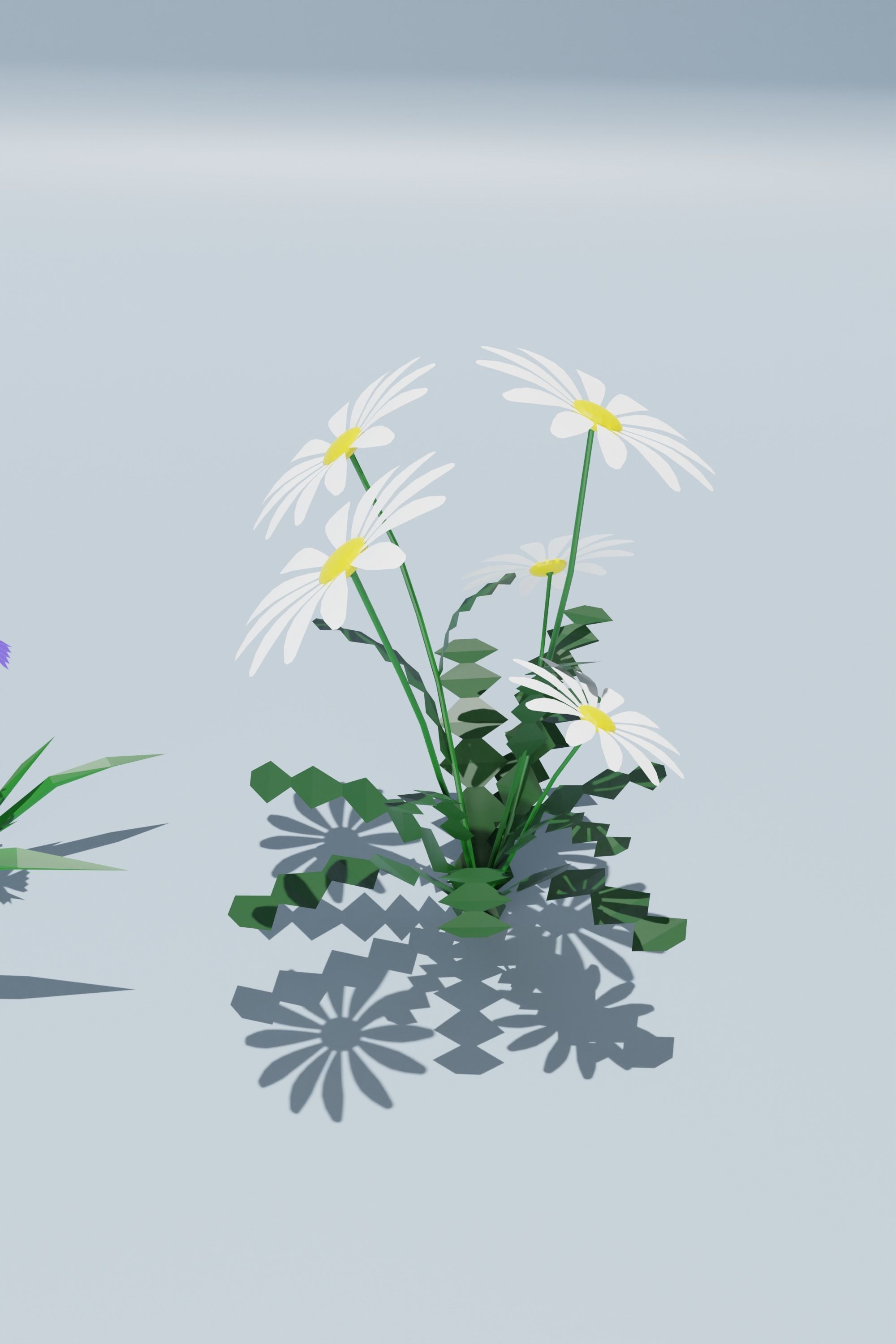 3D model 10 low poly Flowers Plant VR / AR / low-poly | CGTrader