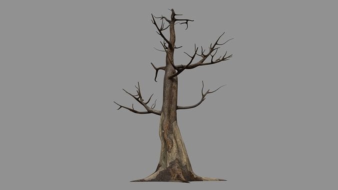 DryTreeA dead tree 3D model | CGTrader