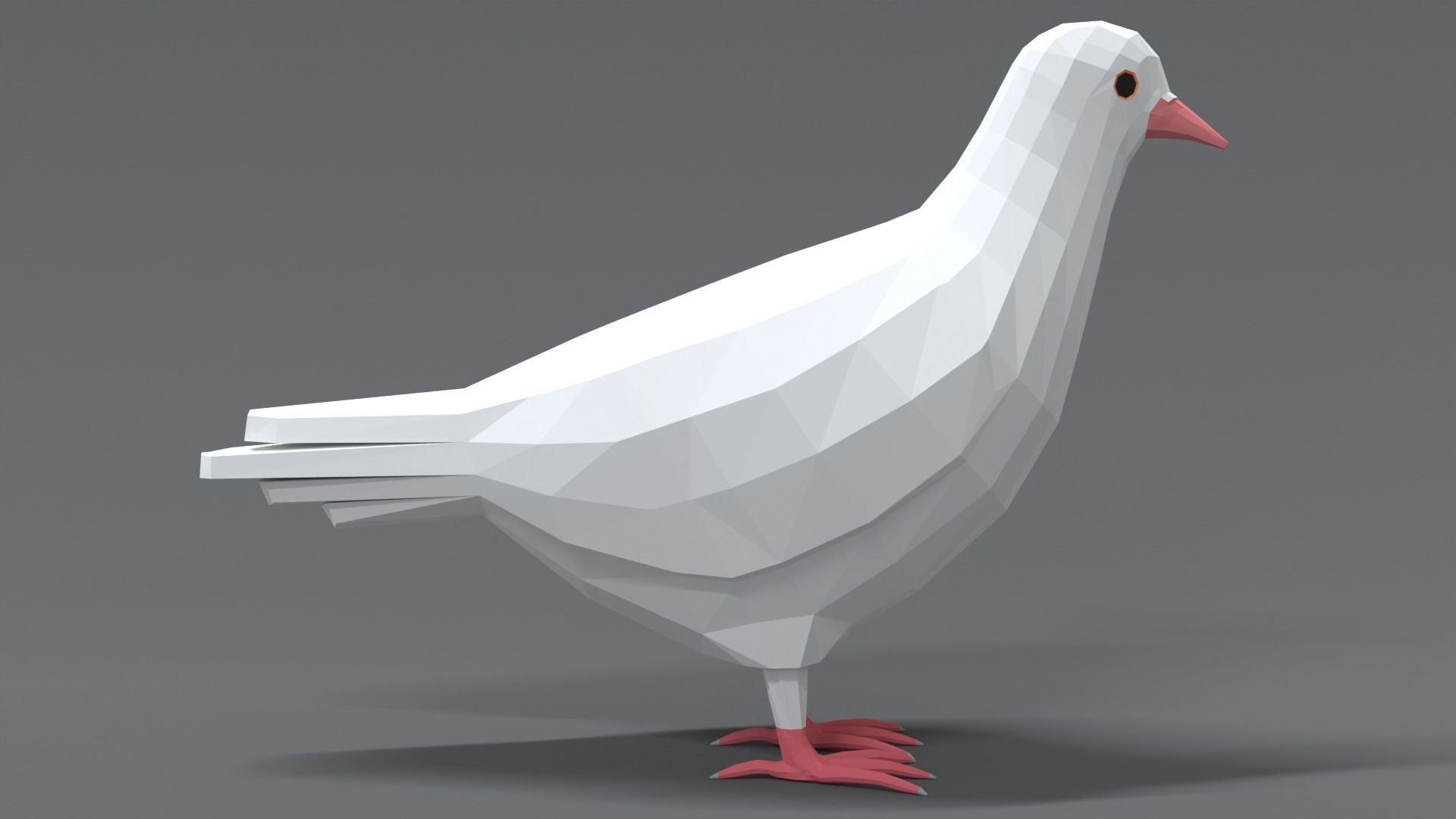 3D model Low Poly Cartoon White Pigeon VR / AR / low-poly | CGTrader