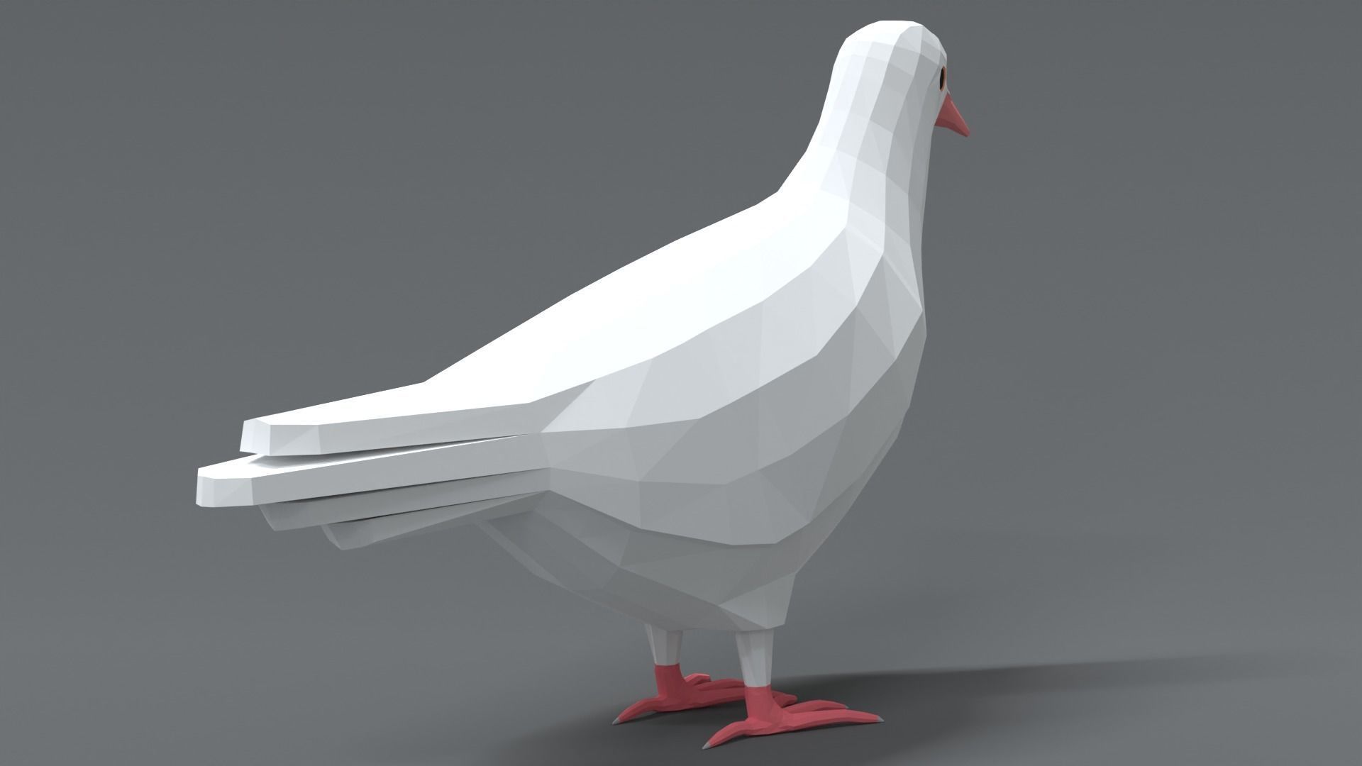 3D model Low Poly Cartoon White Pigeon VR / AR / low-poly | CGTrader