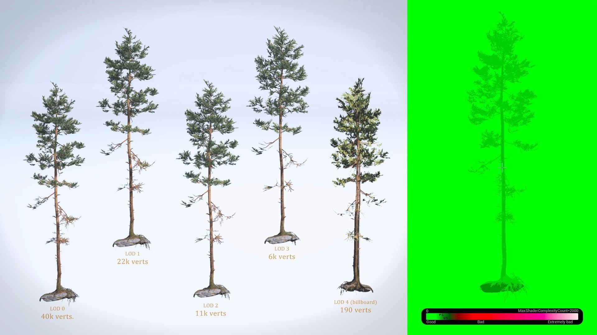 3D model Rocky Pine Trees Forest Biome VR / AR / low-poly | CGTrader