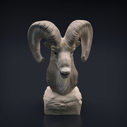 Ram Bust for 3D Printing 3D model 3D printable | CGTrader