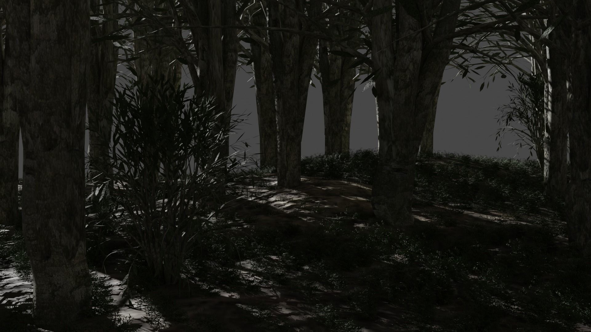 A Forest render 3D model | CGTrader