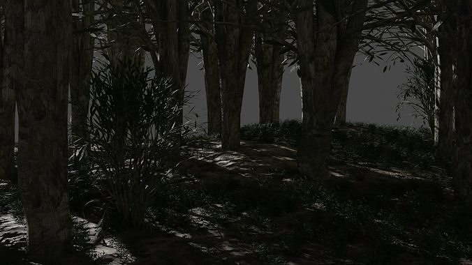 A Forest render with trees 3D model | CGTrader