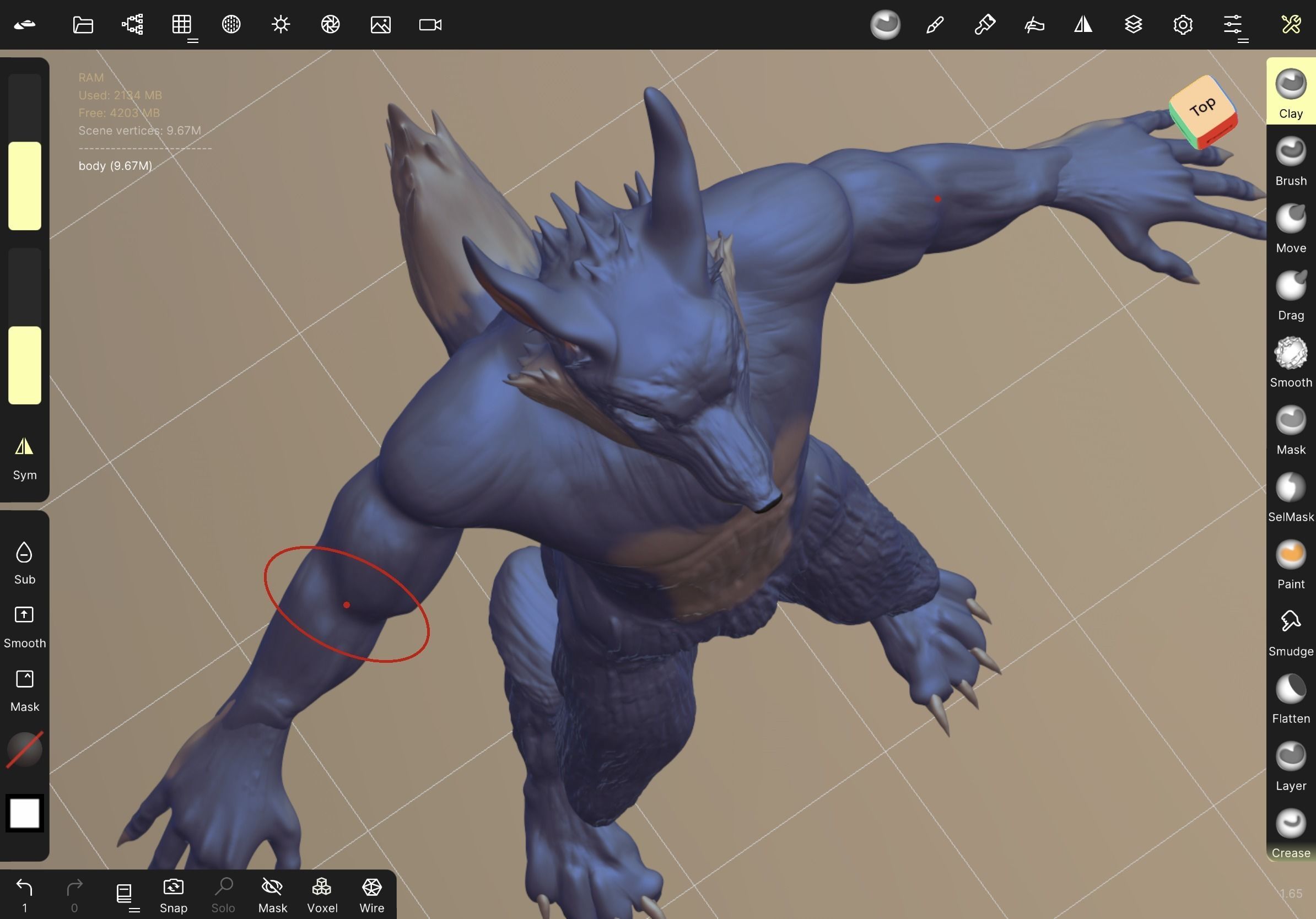 Furry Wolf 3D model | CGTrader