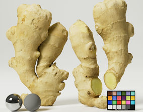Ginger 3D Models | CGTrader