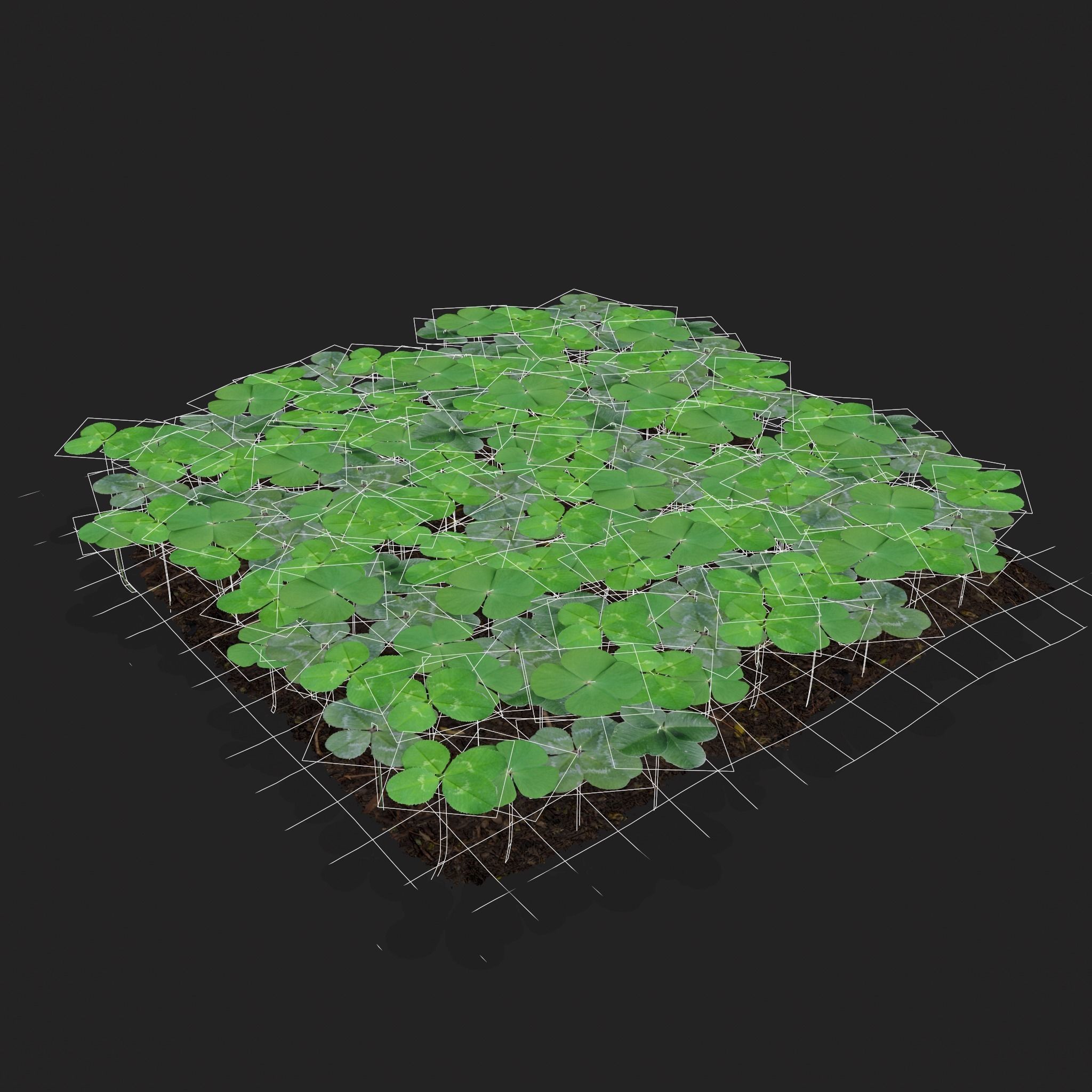 3D model Four Leaf Clover Patch VR / AR / low-poly | CGTrader