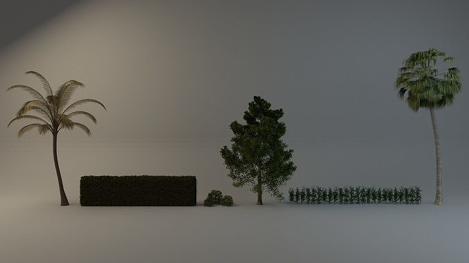 Tree Collection free 3D model | CGTrader