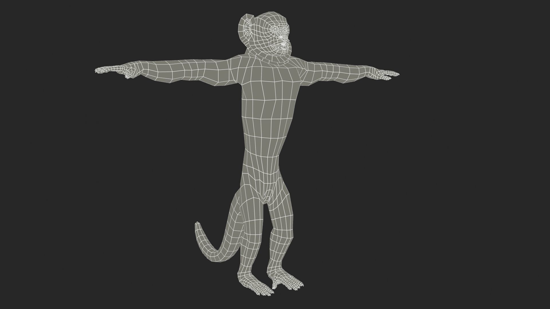 3D model Capuchin Monkey VR / AR / low-poly rigged animated | CGTrader