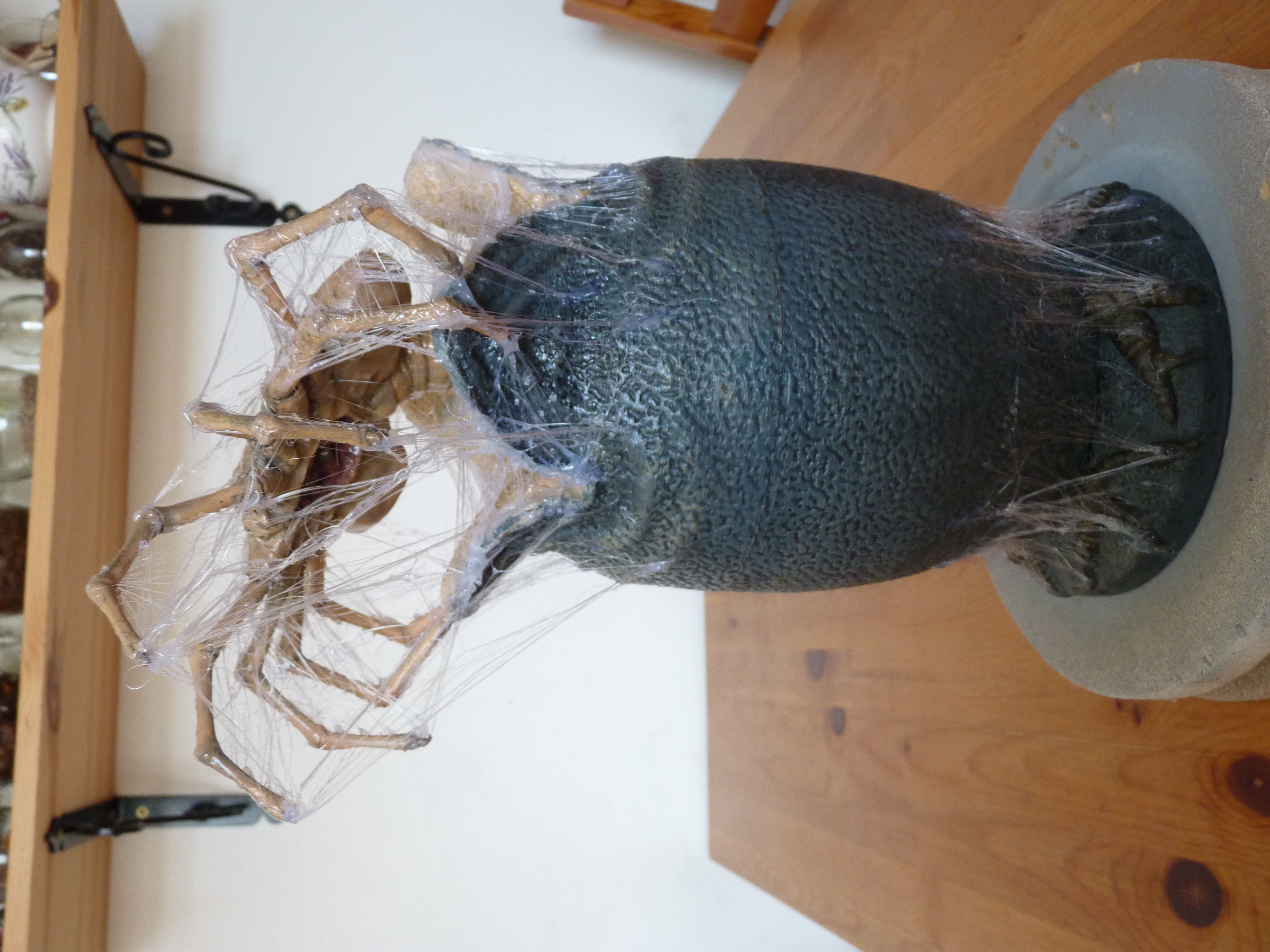 The Facehugger egg 3D model 3D printable | CGTrader