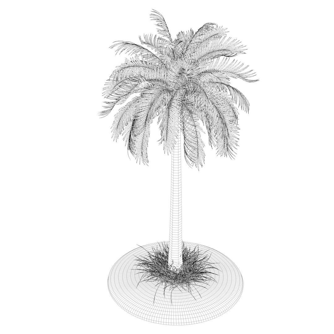 Palm Tree 1 3D model | CGTrader