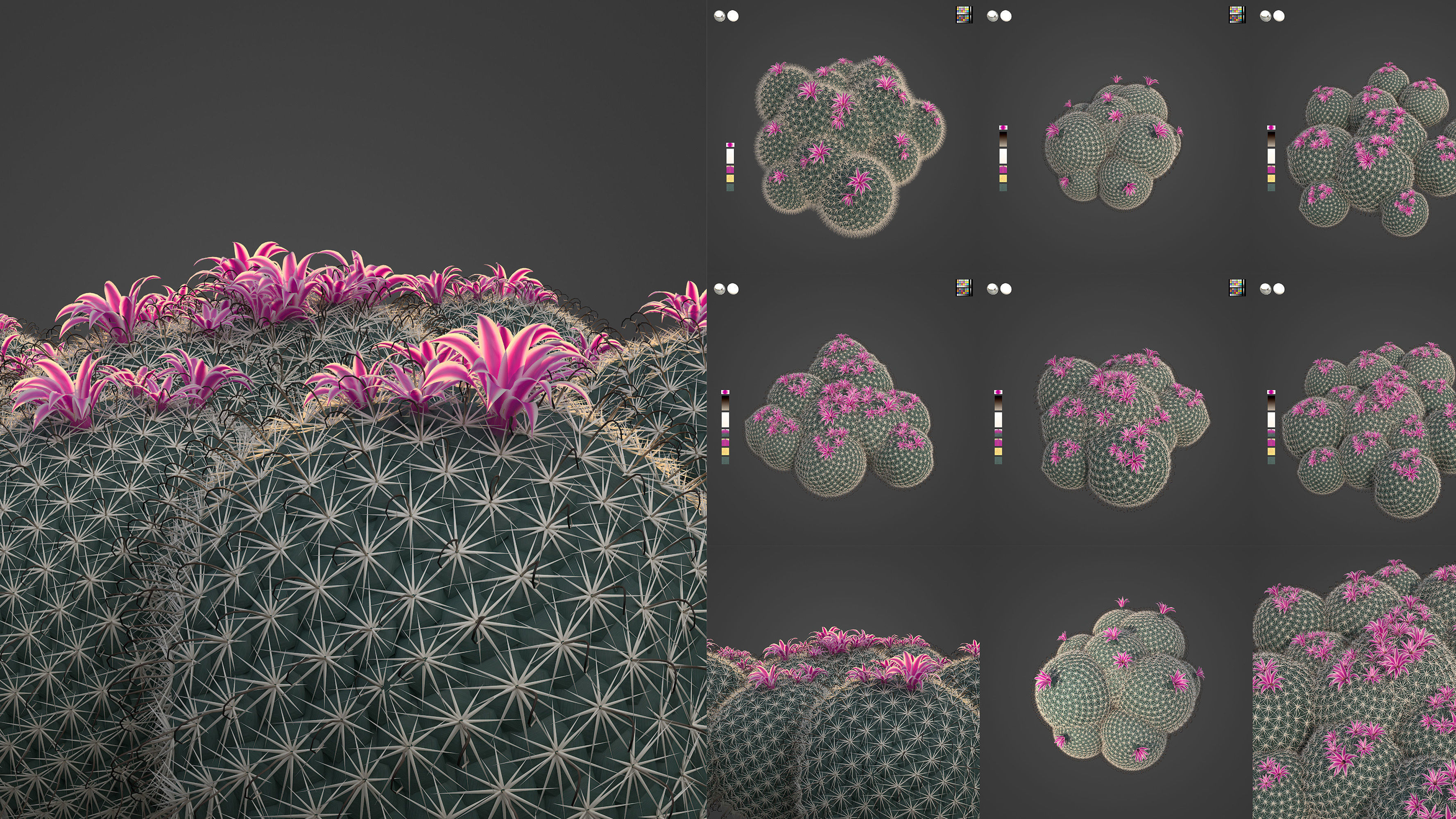 Xfrog World 3D Model Collection | CGTrader