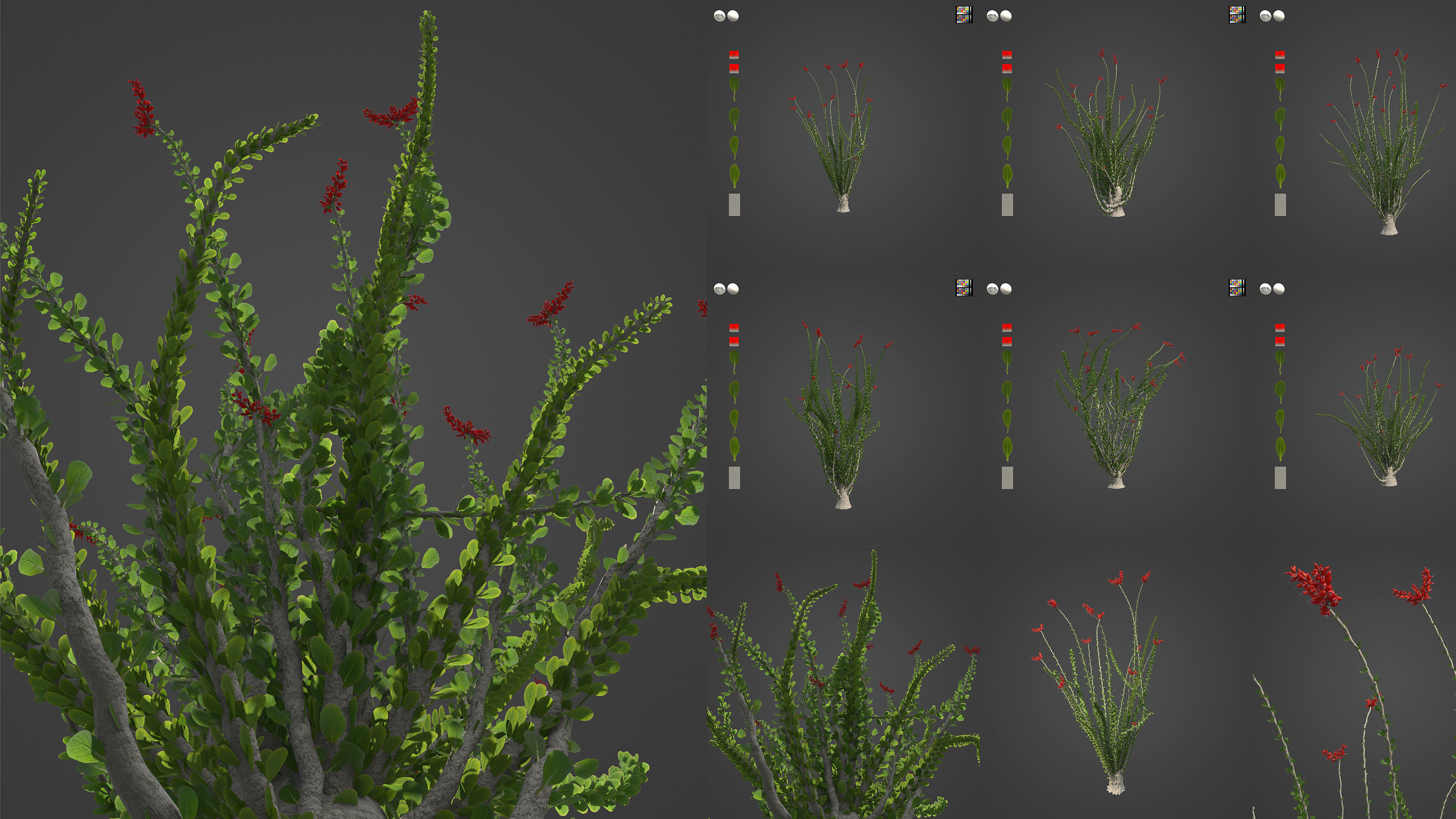 Xfrog World 3D Model Collection | CGTrader