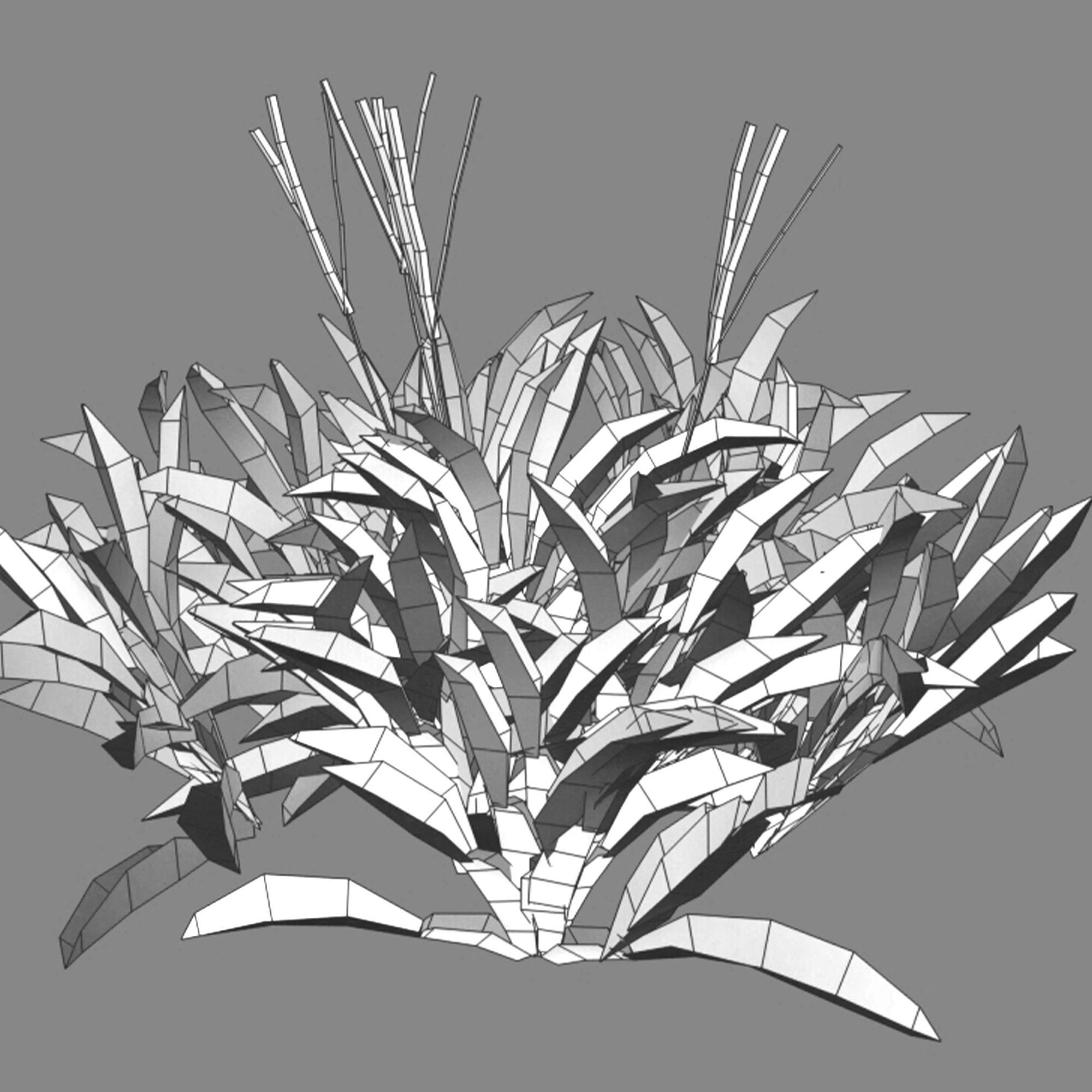 Axonopus compressus 03 3D model | CGTrader