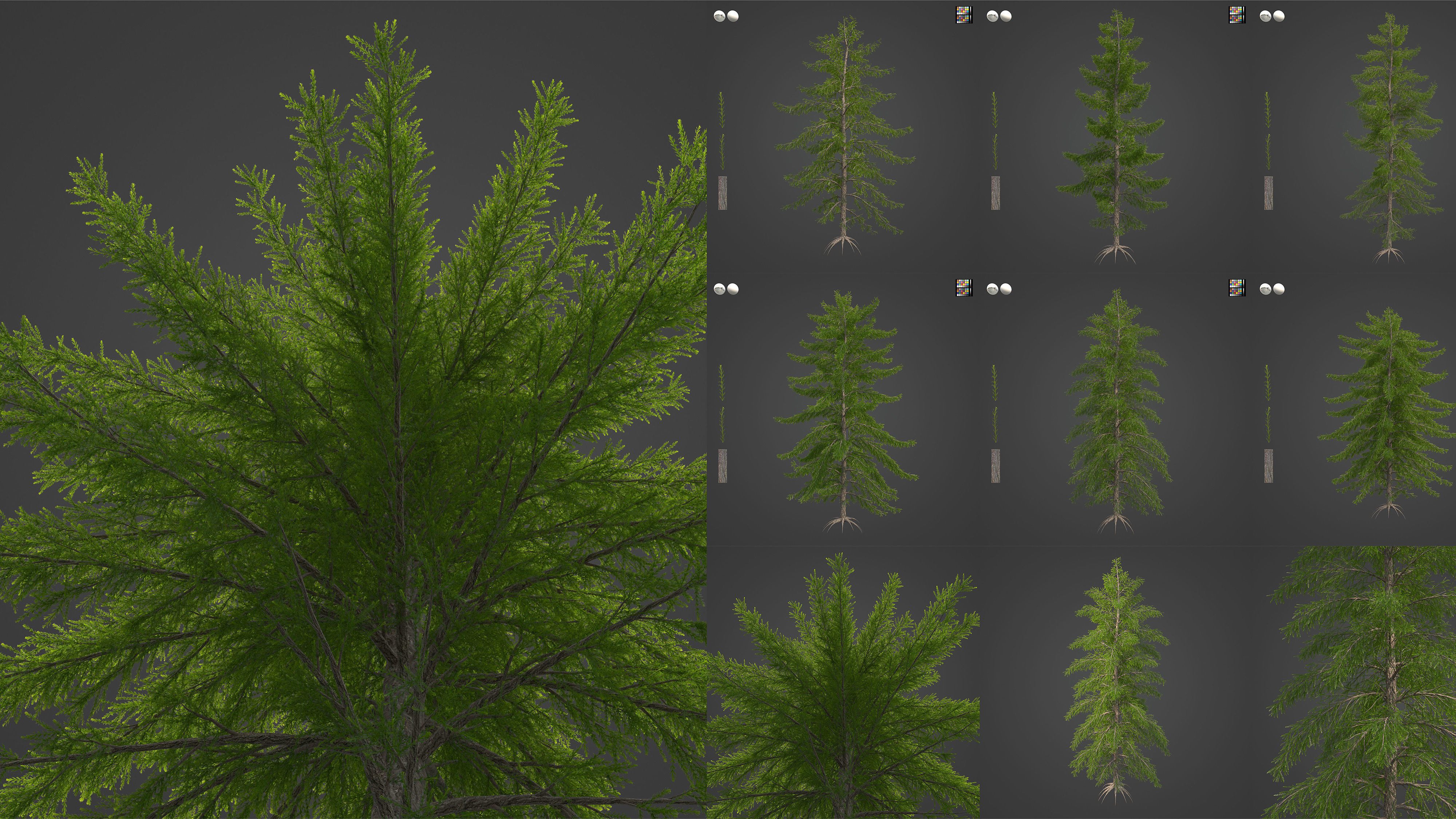 Xfrog Europe 3D Model Collection | CGTrader