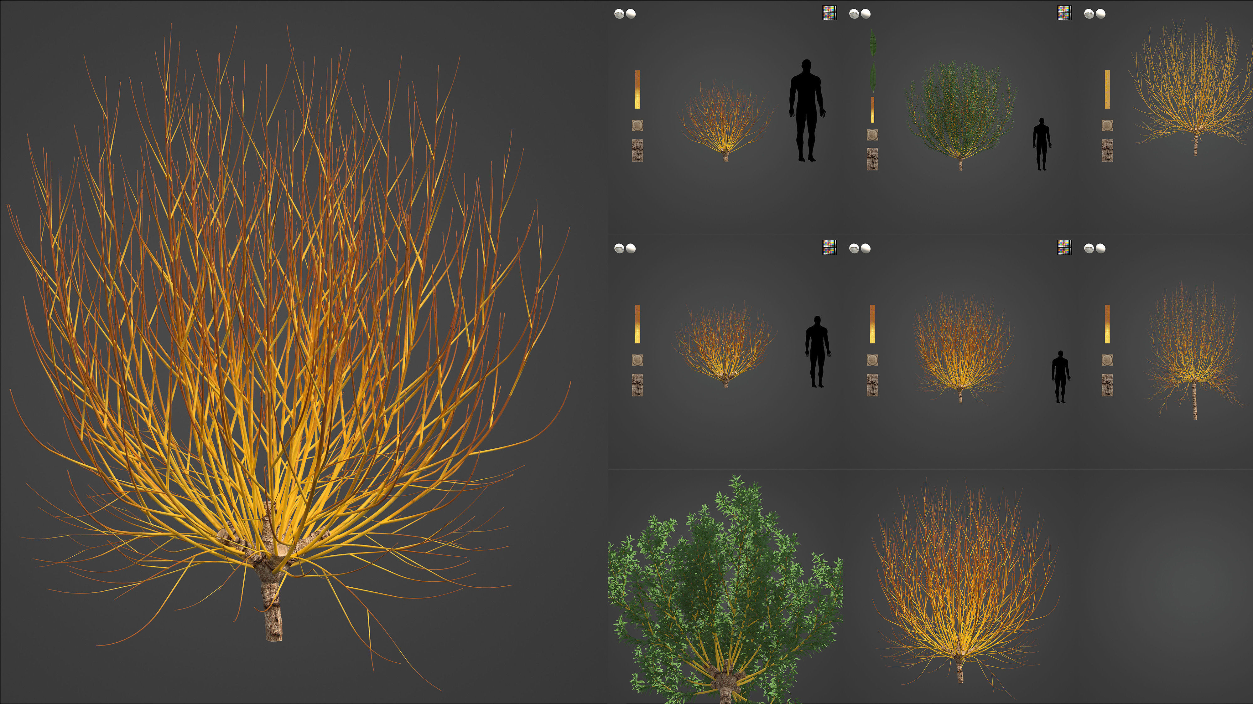 Xfrog Europe 3D Model Collection | CGTrader