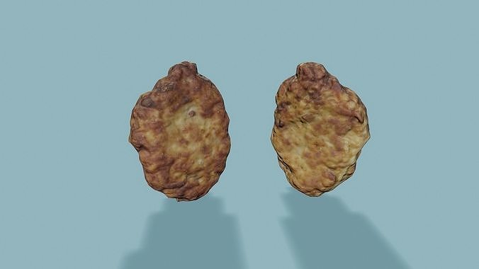 3D model 3D Scan Fried Cutlet VR / AR / low-poly | CGTrader