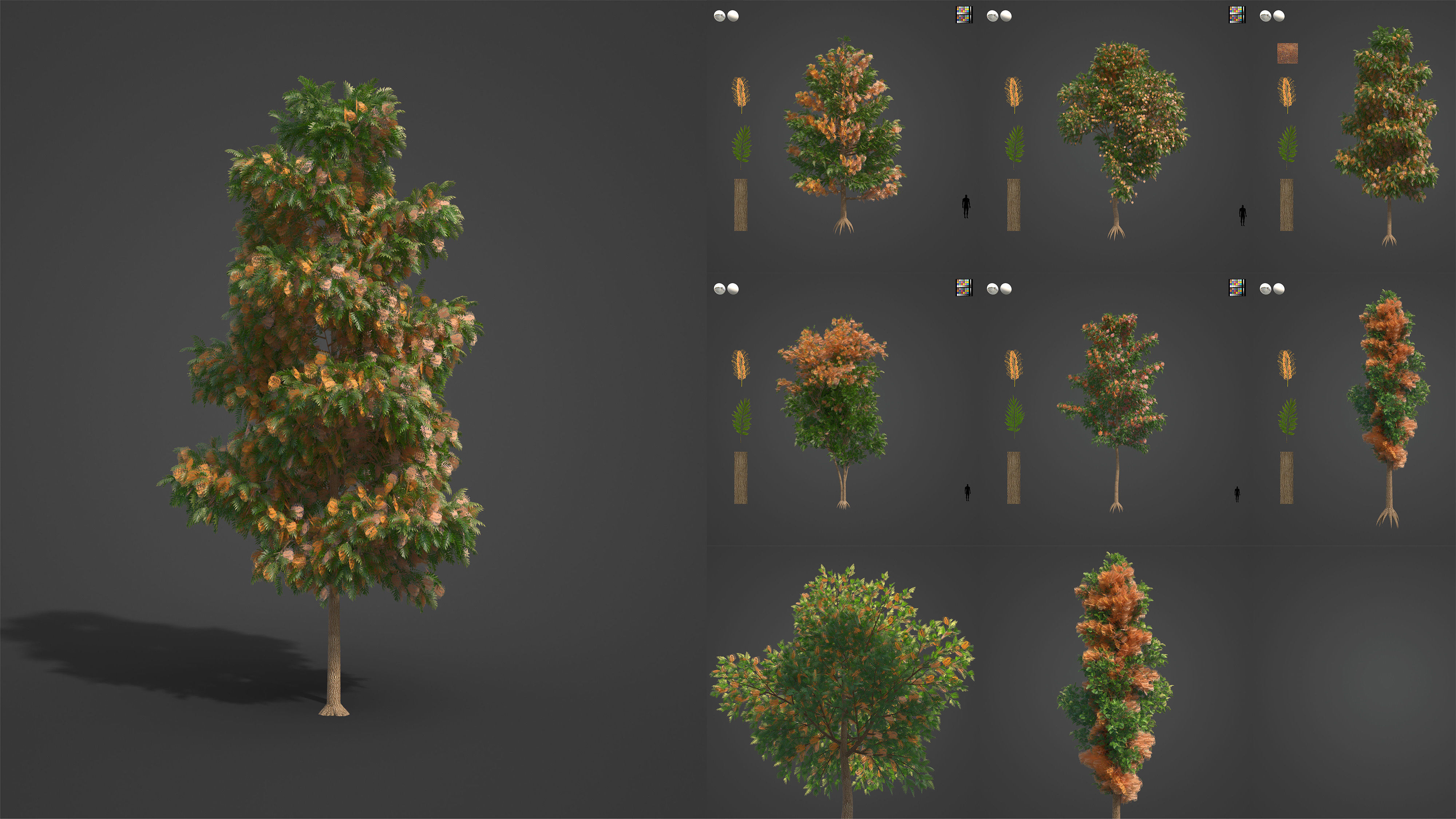 3D Model Collection Xfrog Oceania VR / AR / low-poly | CGTrader