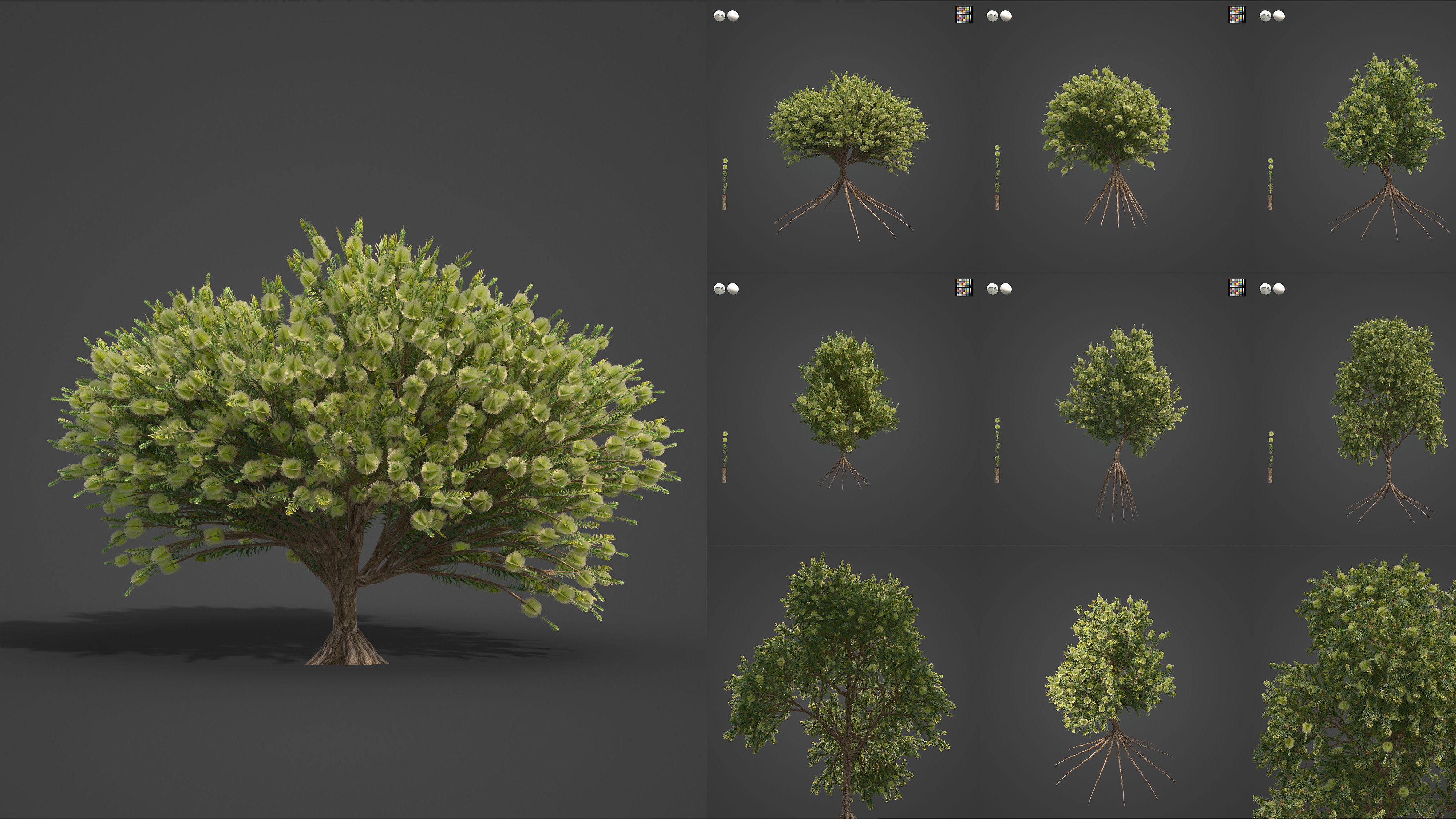 3D Model Collection Xfrog Oceania VR / AR / low-poly | CGTrader