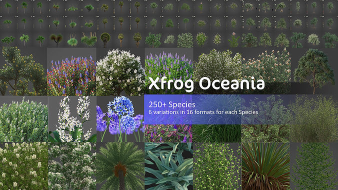 3D Model Collection Xfrog Oceania VR / AR / low-poly | CGTrader