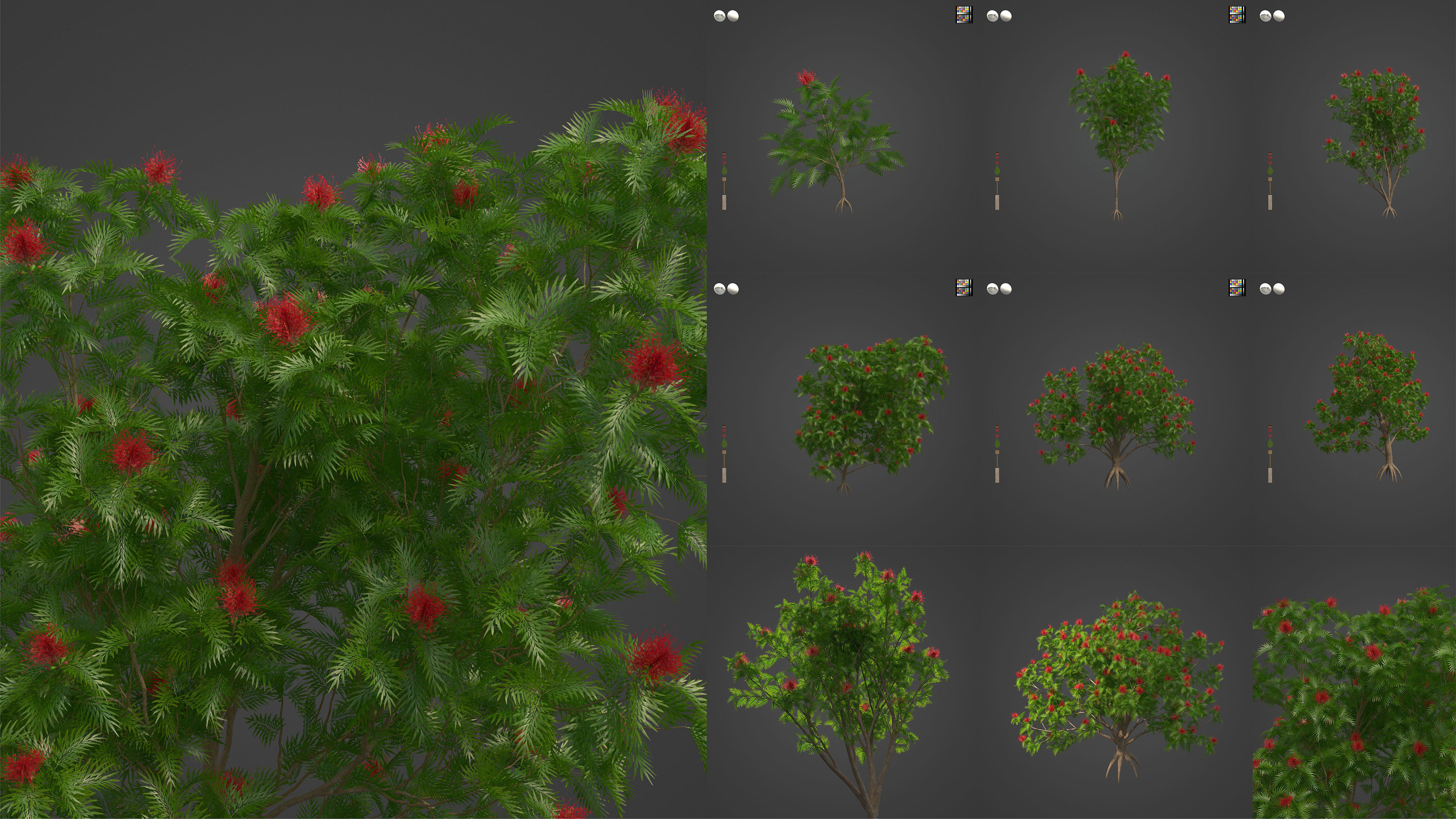 3D Model Collection Xfrog Oceania VR / AR / low-poly | CGTrader