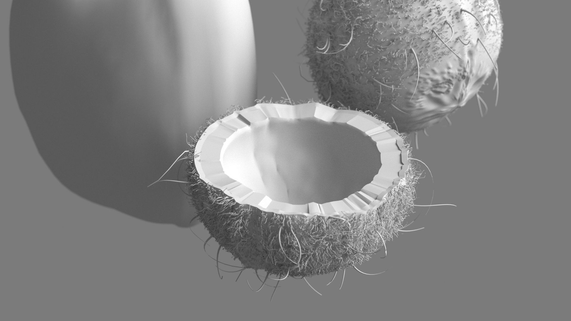 Coconut Coco 3D model | CGTrader