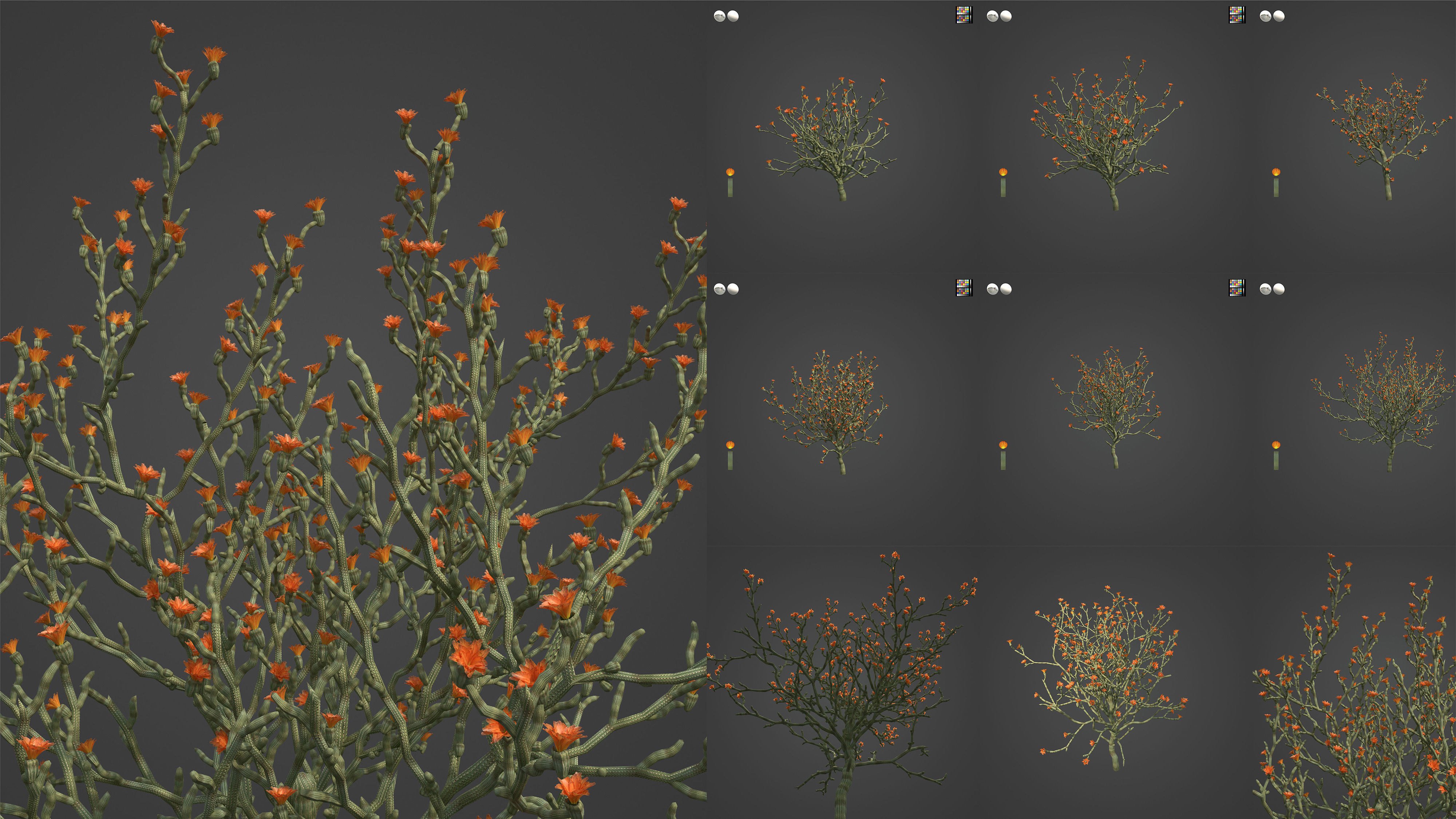 3D Model Collection Xfrog Americas VR / AR / low-poly | CGTrader