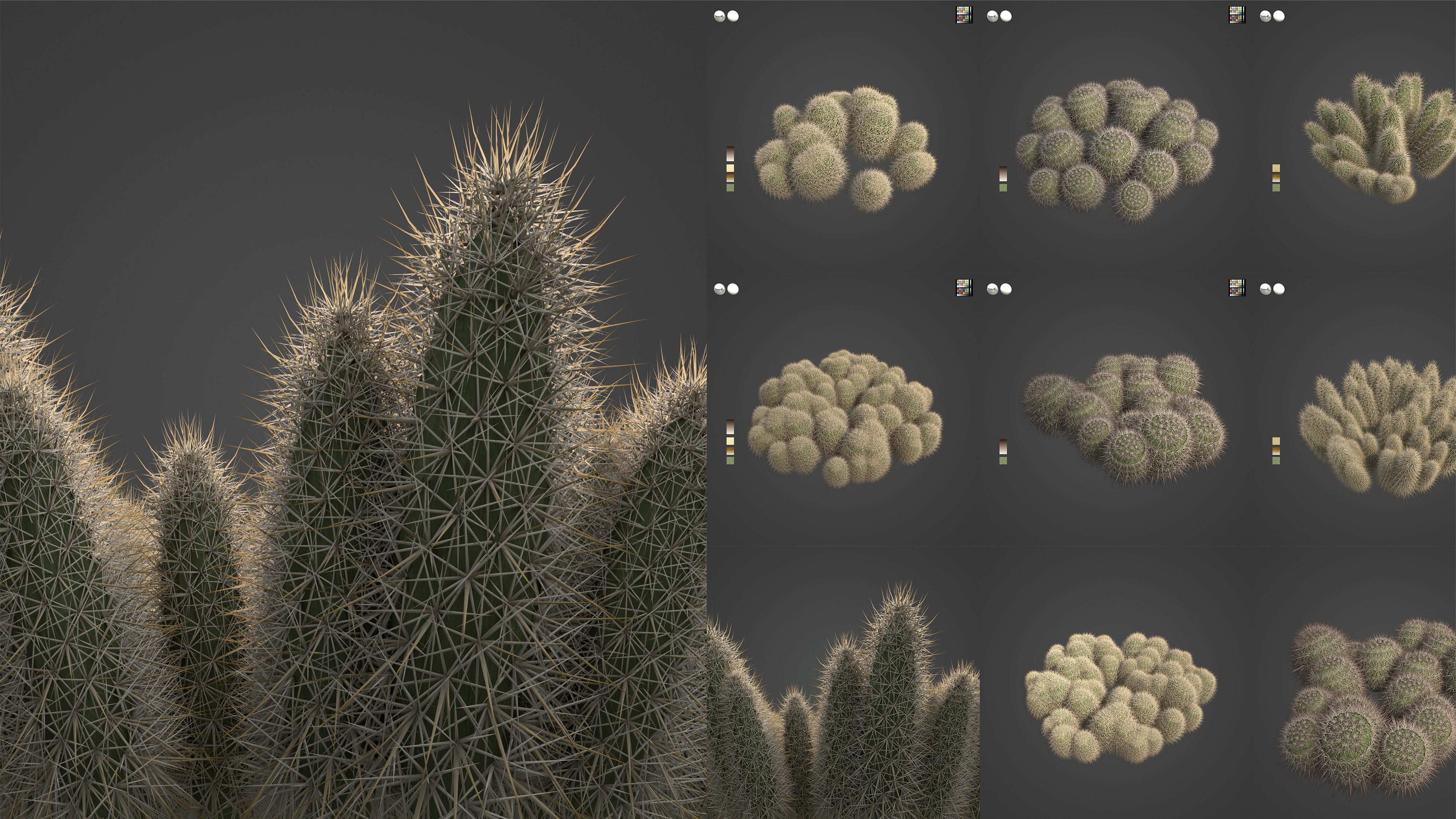 Xfrog Americas 3D Model Collection | CGTrader