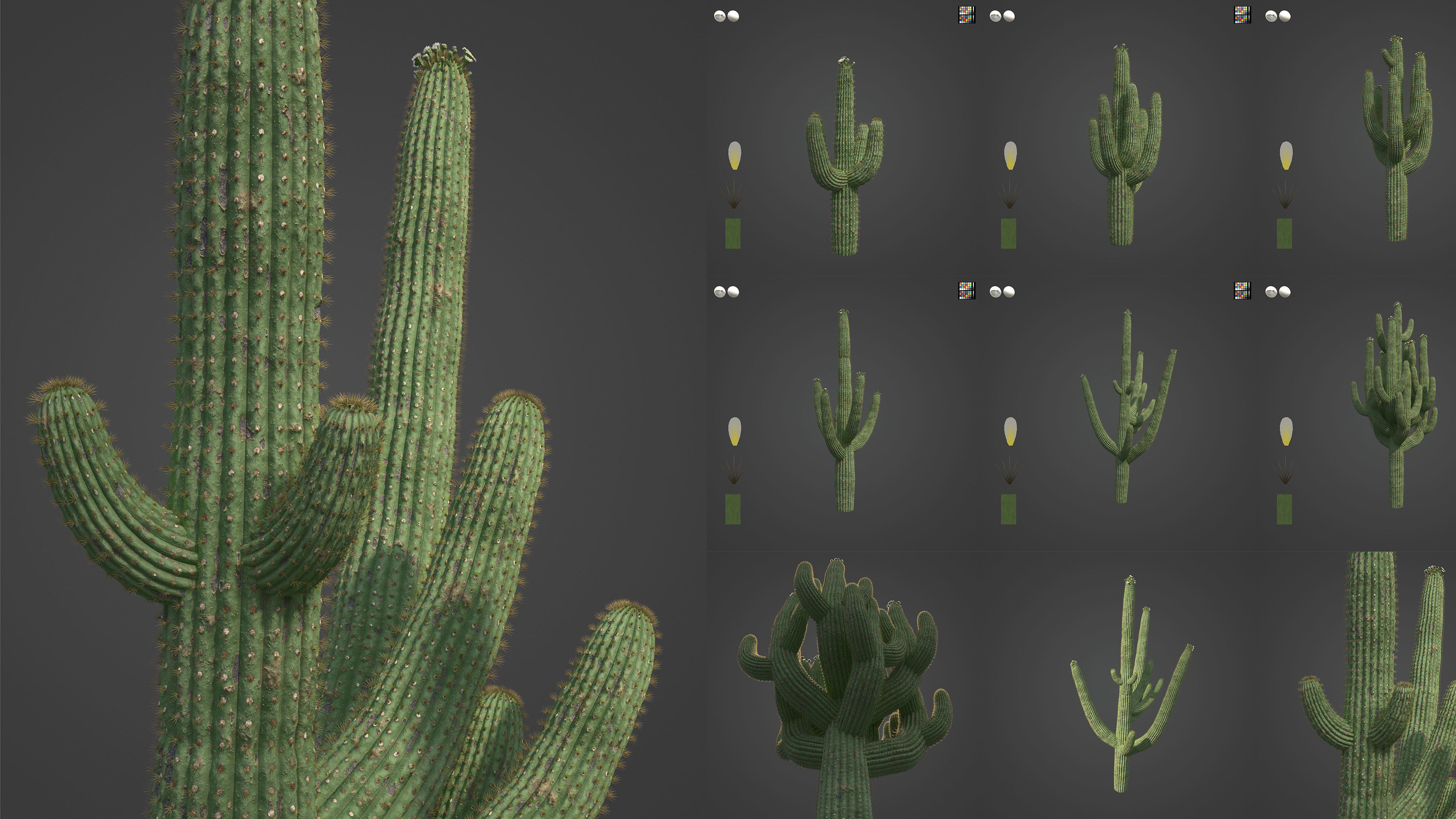 3D Model Collection Xfrog Americas VR / AR / low-poly | CGTrader