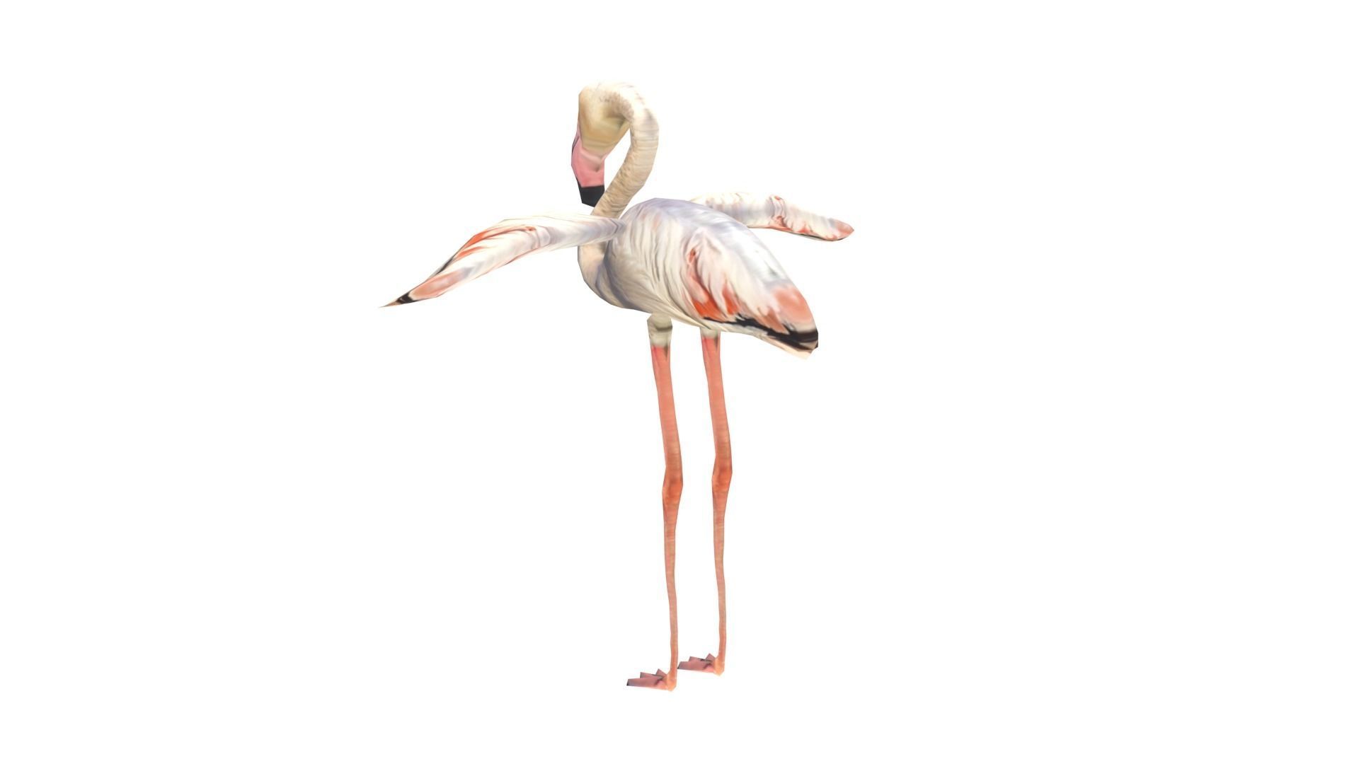 3D model Low Poly Flamingo Rigged With Realistic Texture VR / AR / low ...