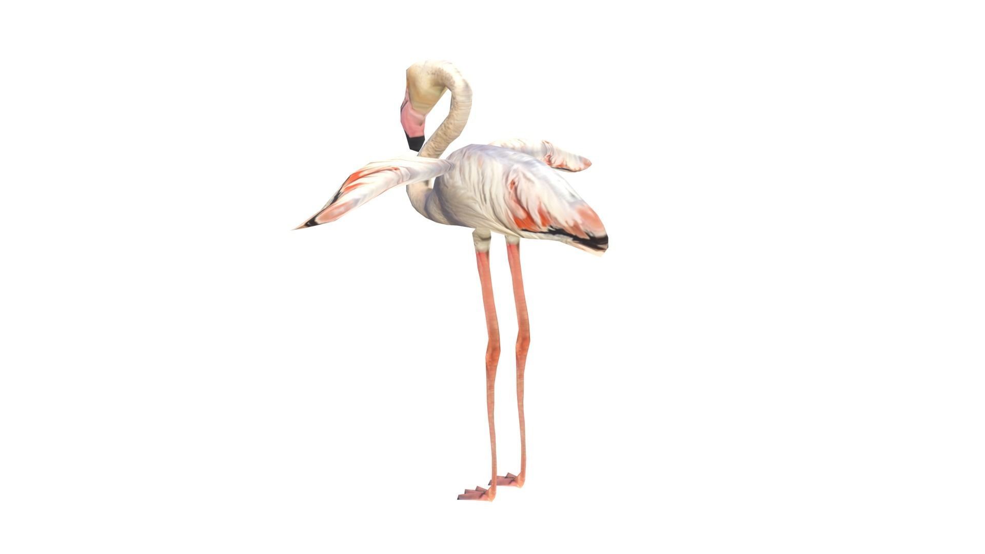 3D model Low Poly Flamingo Rigged With Realistic Texture VR / AR / low ...