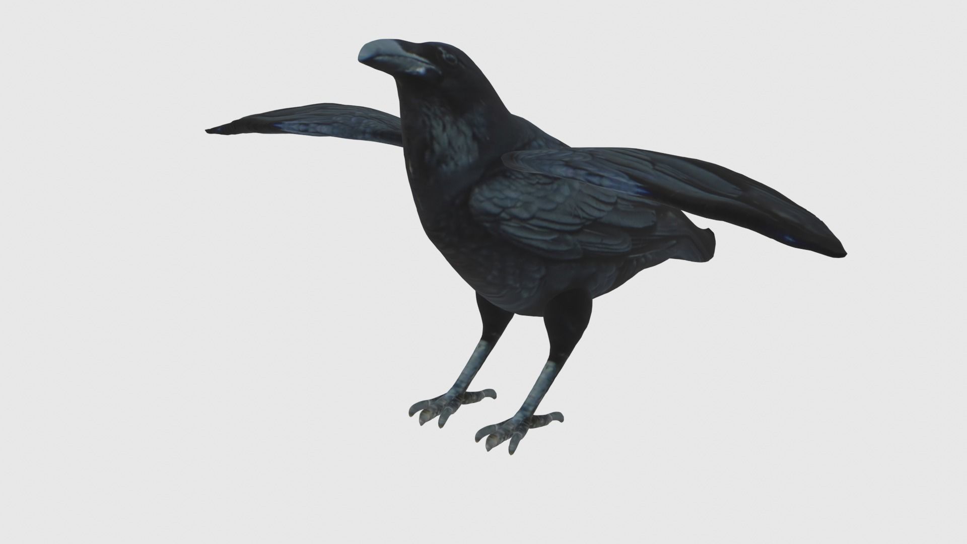 Low Poly Raven Rigged With Realistic Texture 3D model rigged | CGTrader