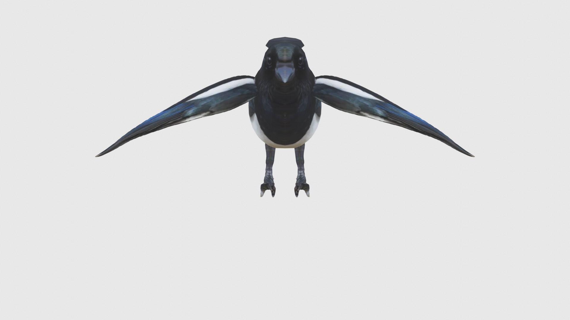 3D model Low Poly Magpie Rigged With Realistic Texture VR / AR / low ...