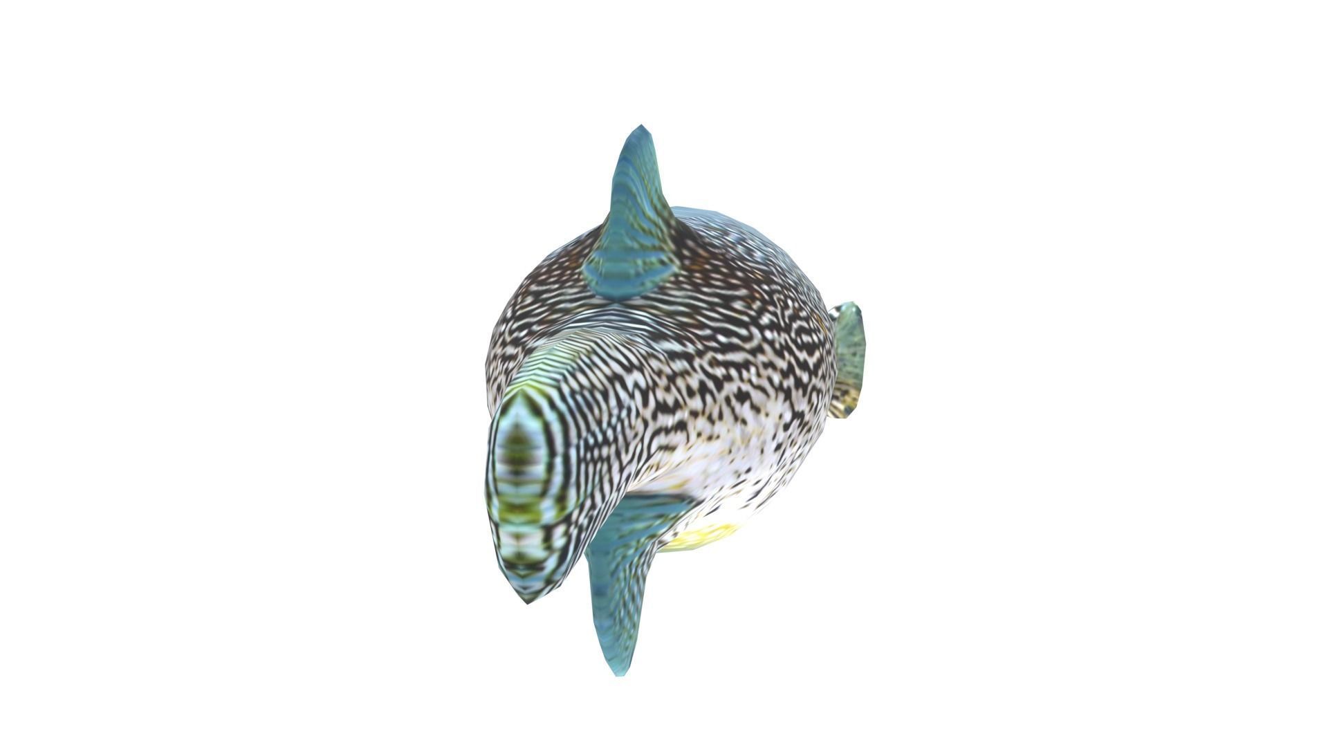 3D model Low Poly Pufferfish Rigged With Realistic Texture VR / AR ...