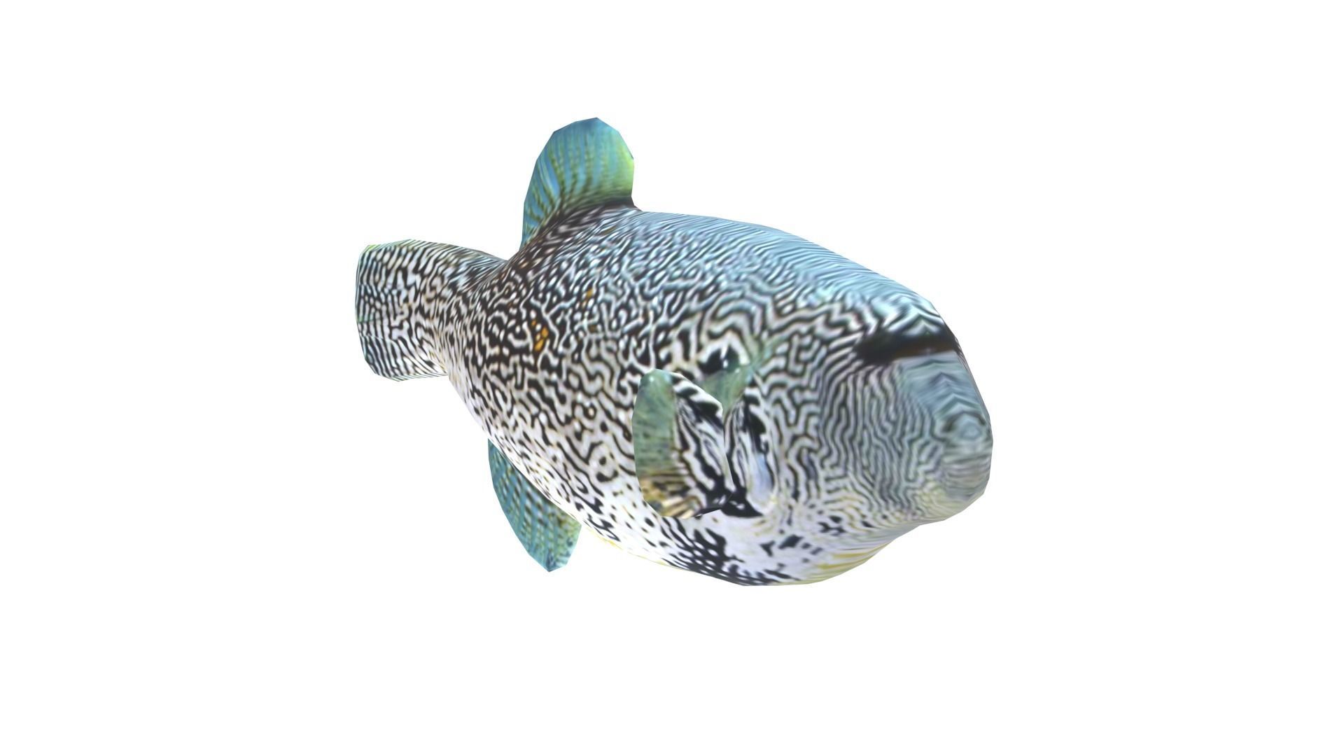 3D model Low Poly Pufferfish Rigged With Realistic Texture VR / AR ...