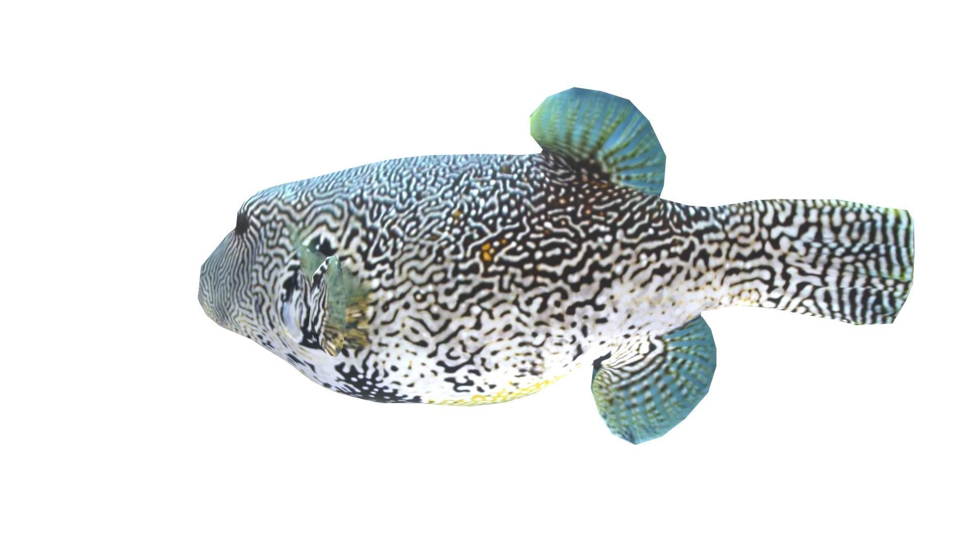 3D model Low Poly Pufferfish Rigged With Realistic Texture VR / AR ...