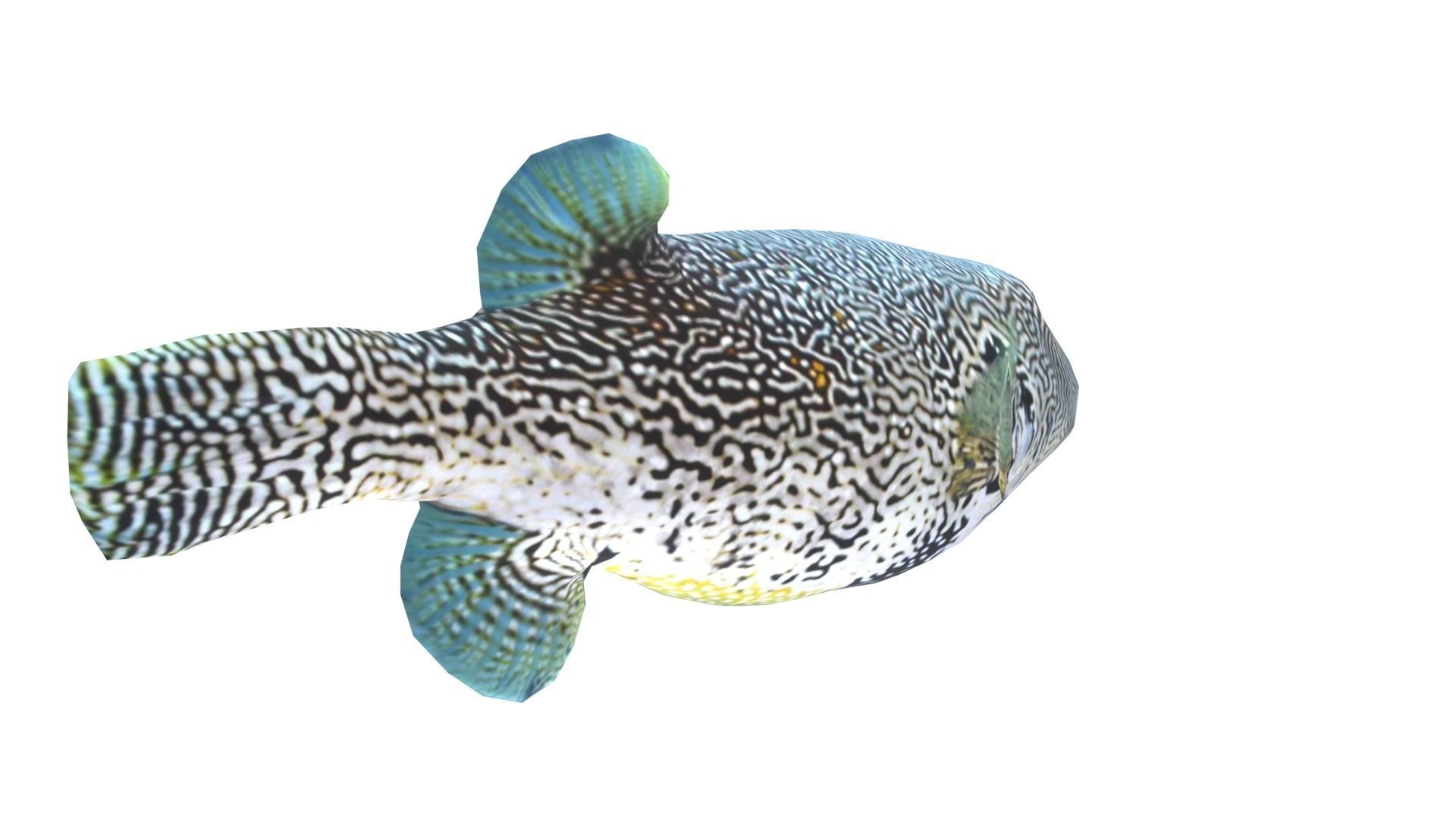 3D model Low Poly Pufferfish Rigged With Realistic Texture VR / AR ...