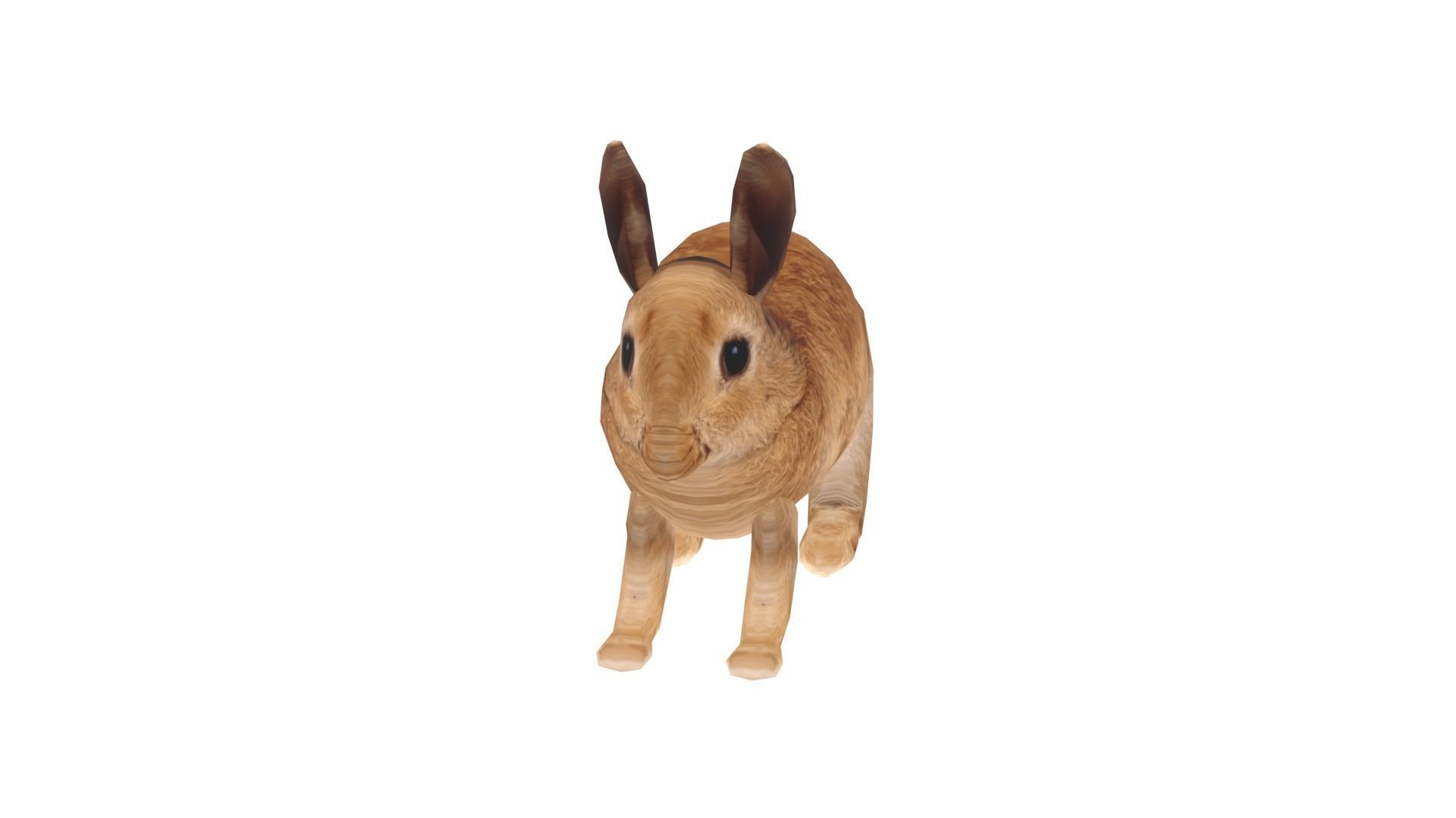 Low Poly Rabbit Rigged With Realistic Texture 3D model rigged | CGTrader