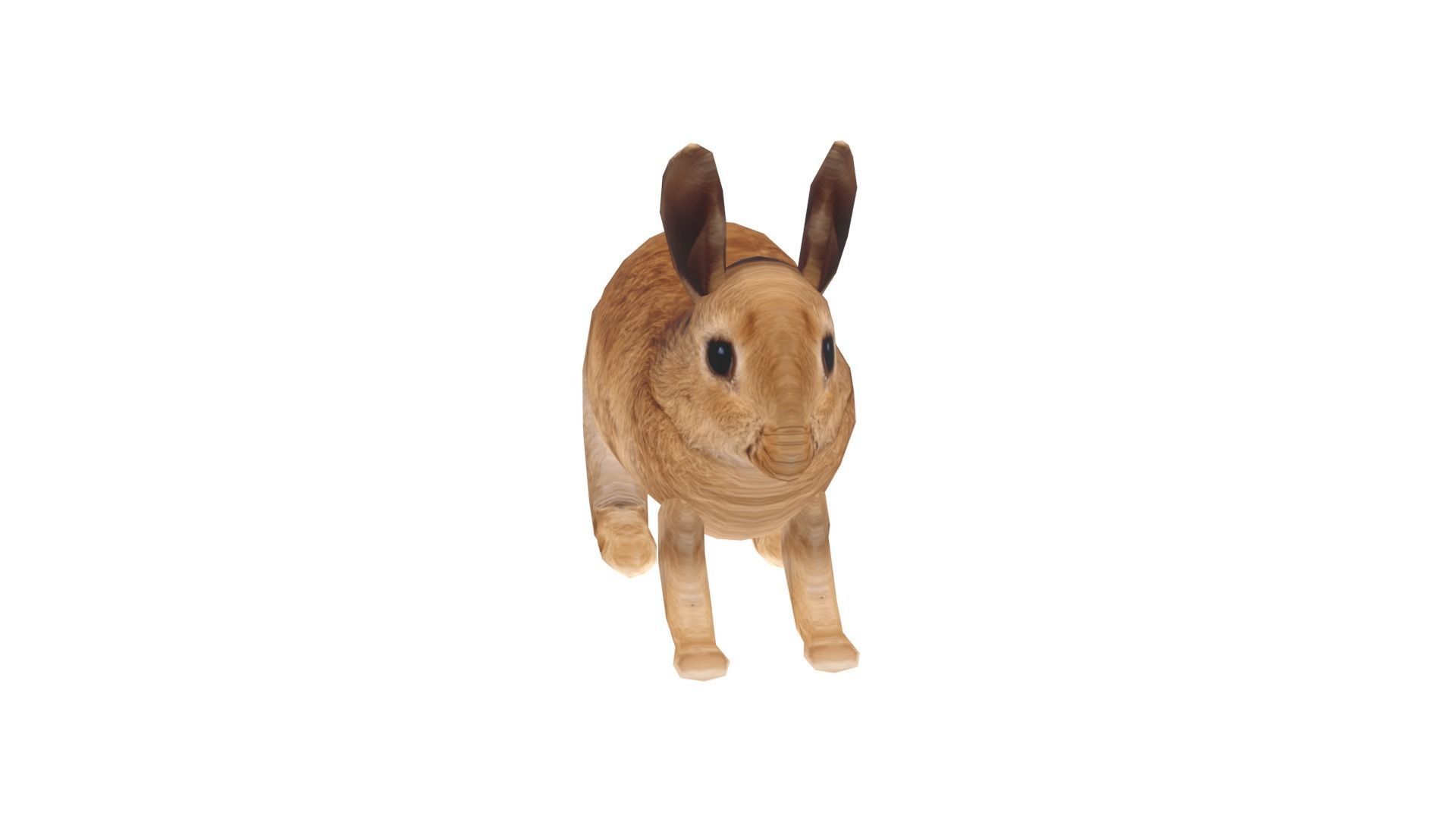 Low Poly Rabbit Rigged With Realistic Texture 3D model rigged | CGTrader
