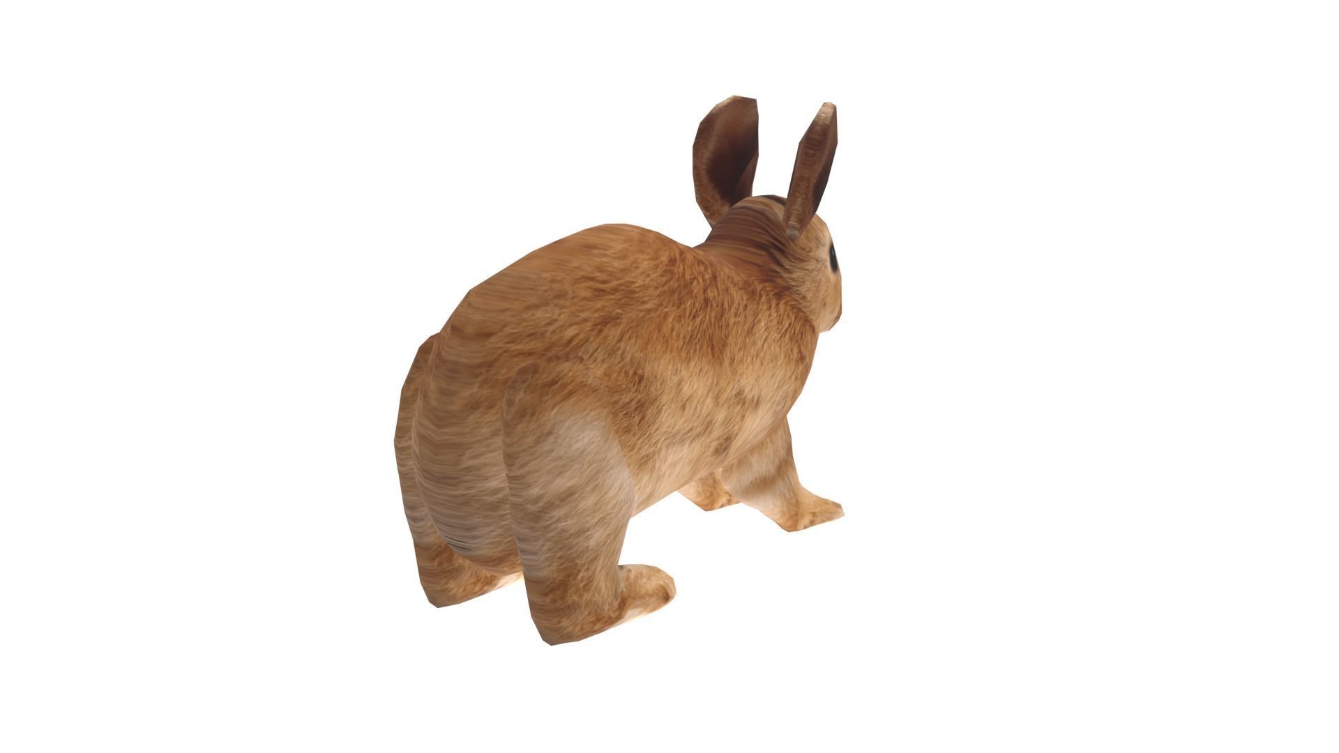 Low Poly Rabbit Rigged With Realistic Texture 3D model rigged | CGTrader