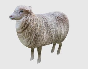 Sheep 3D Models | CGTrader