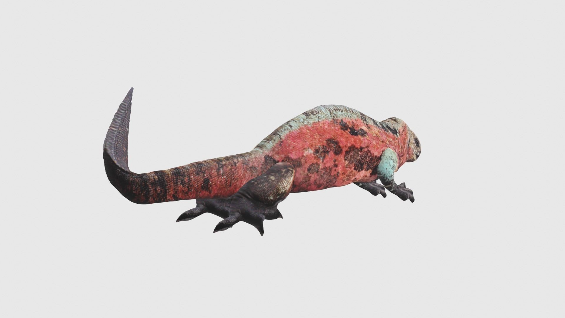 Low Poly Iguana Rigged With Realistic Texture 3D model rigged | CGTrader