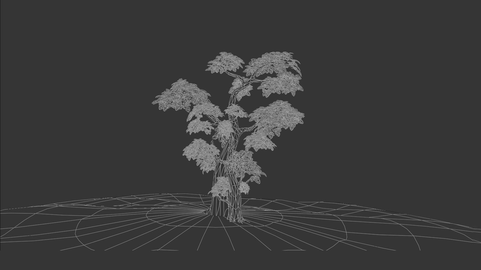 3D model Realistic Tree for games 3D model VR / AR / low-poly | CGTrader