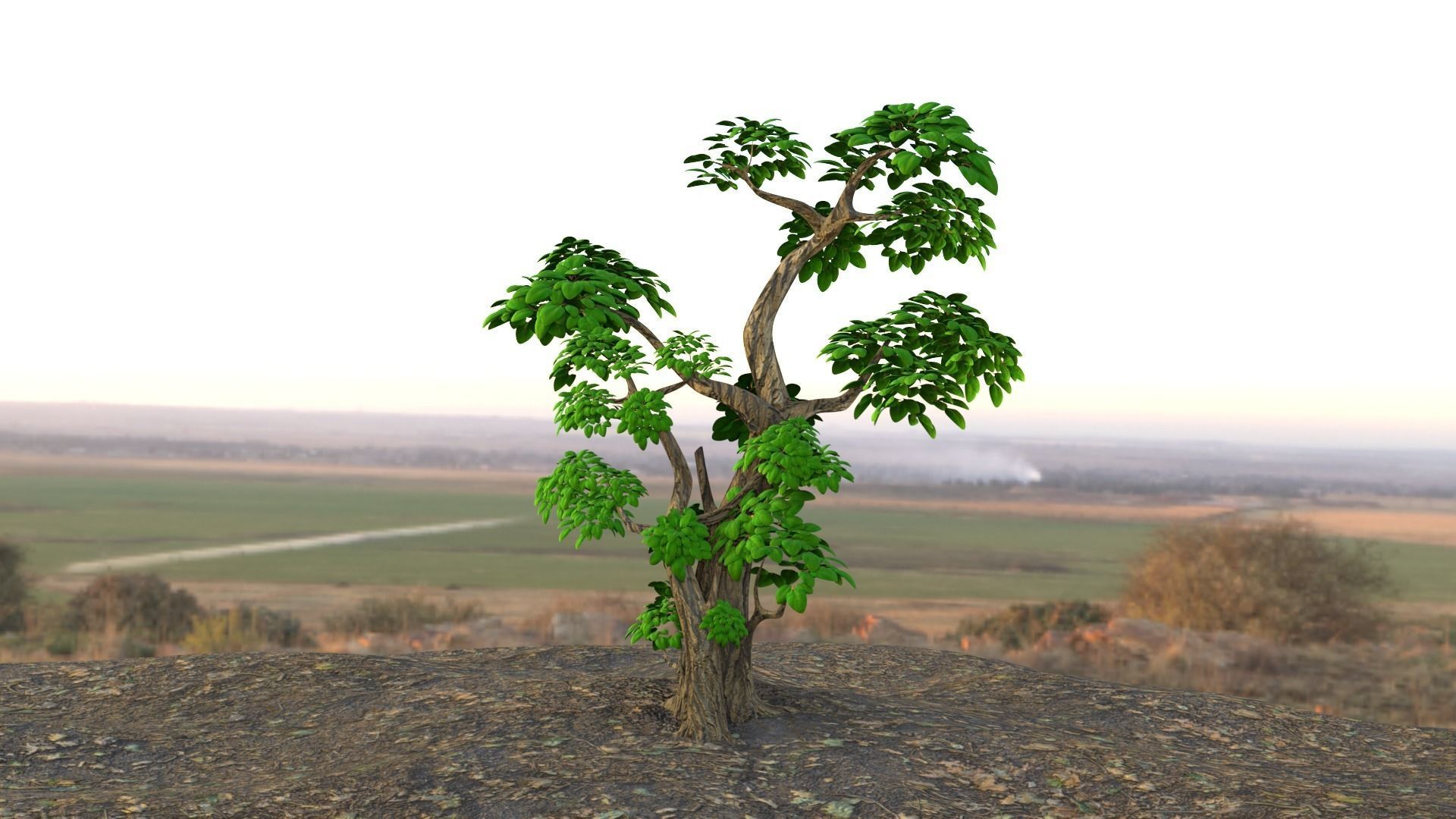 3D model Realistic Tree for games 3D model VR / AR / low-poly | CGTrader