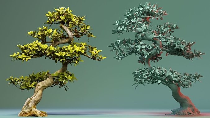 Enchanted Tree 13 3D model | CGTrader