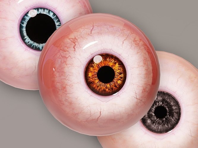 3D model Eyes with Pupil dilation animation VR / AR / low-poly | CGTrader