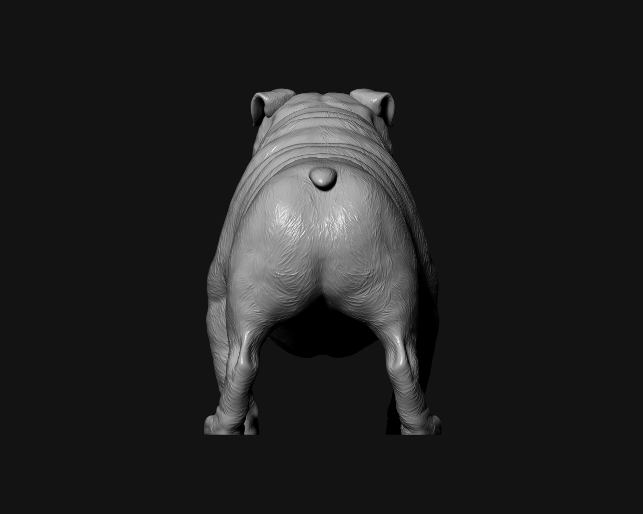 Bulldog model 3D model 3D printable | CGTrader